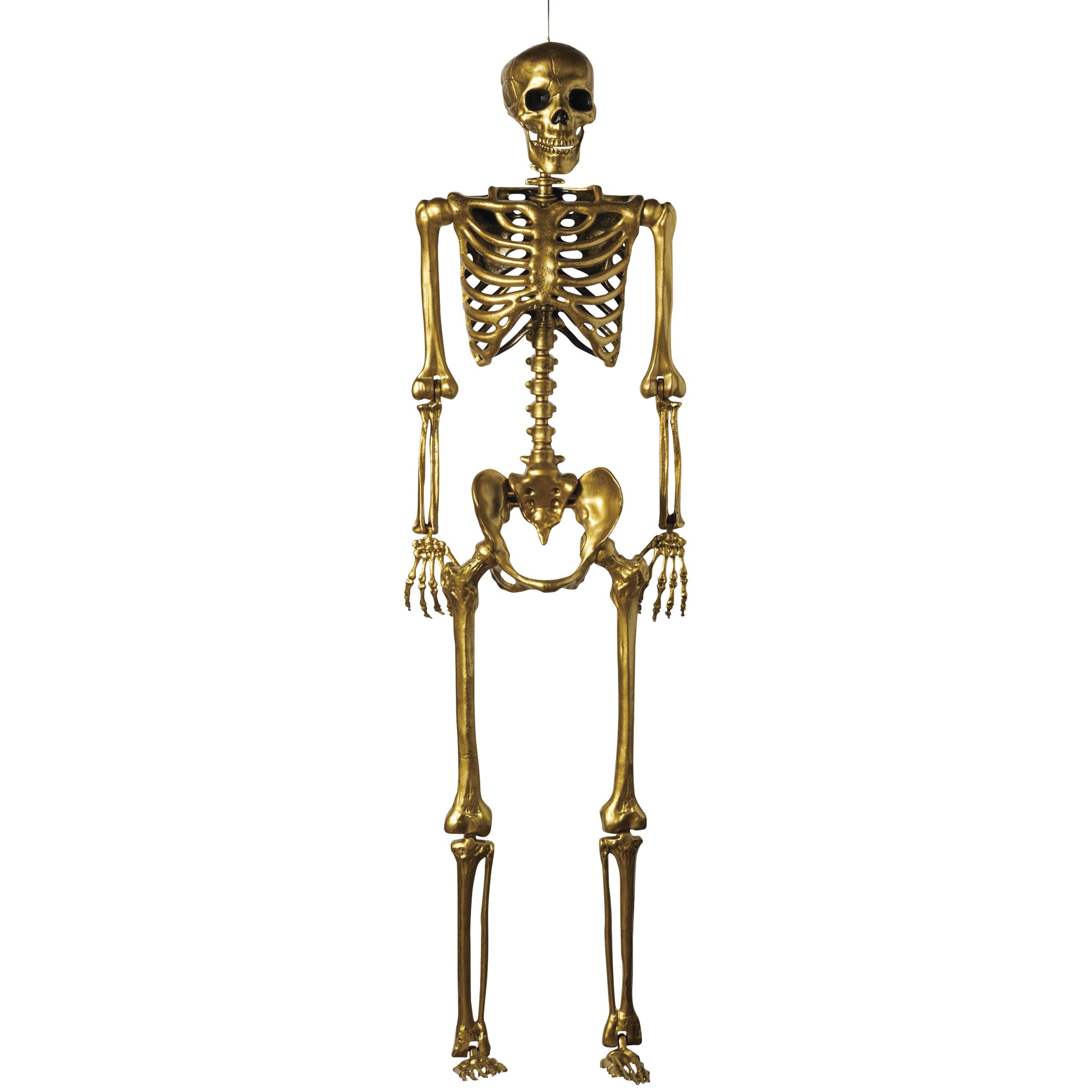 Destination Holiday Life-Size Poseable Halloween Skeleton - Gold - Shop ...