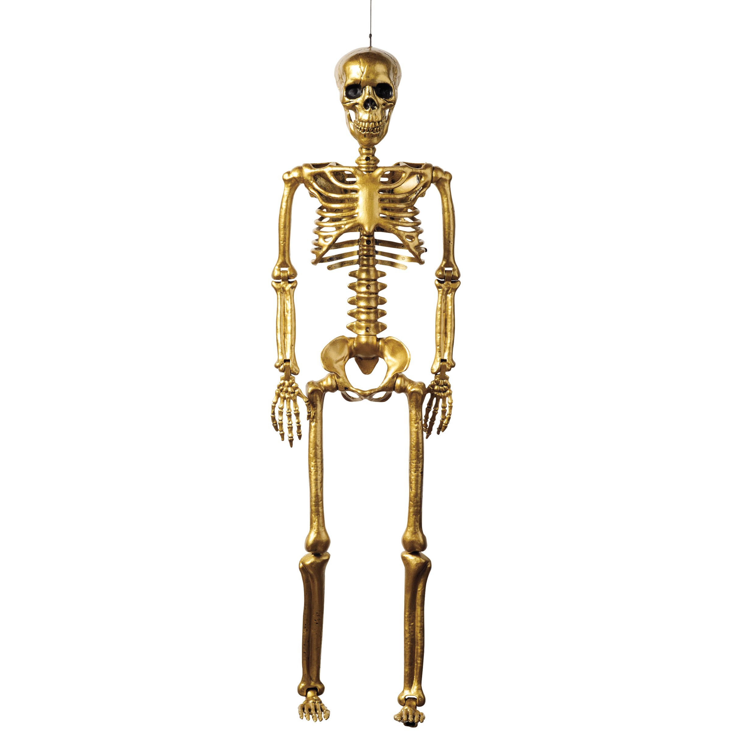 Destination Holiday Life-Size Poseable Halloween Skeleton - Gold - Shop ...