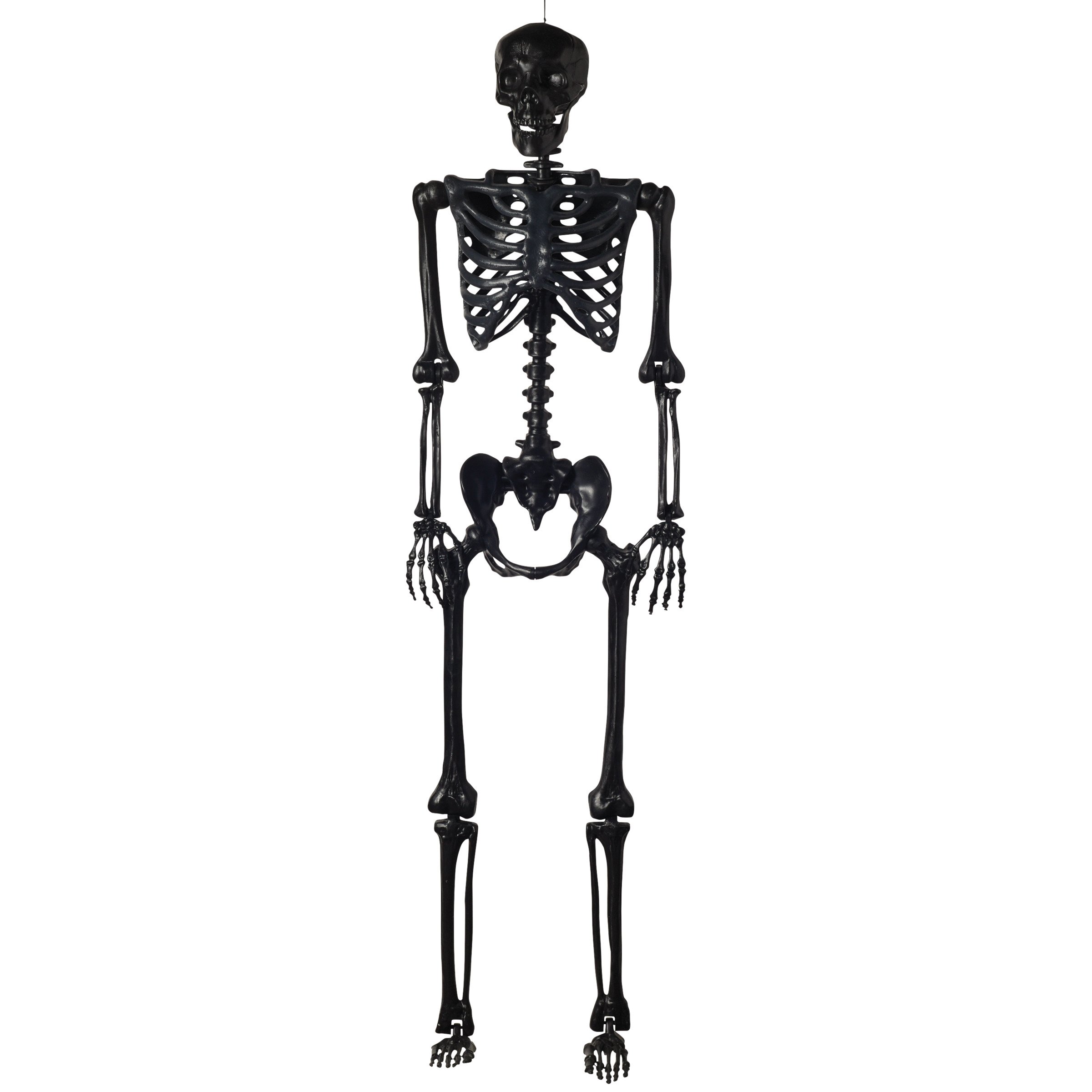 Destination Holiday Life-Size Poseable Halloween Skeleton - Black ...