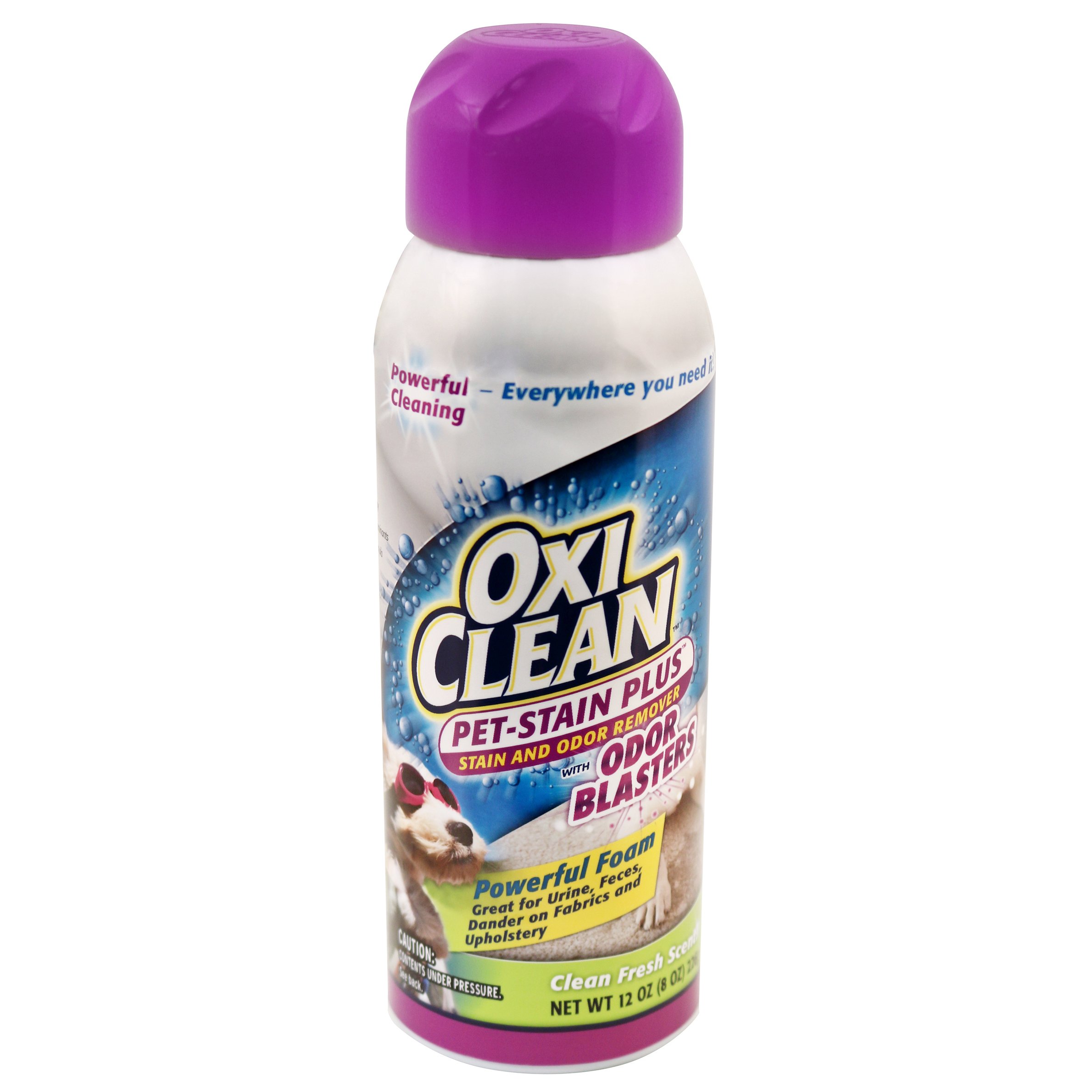 OxiClean Pet Stain Plus Stain & Odor Remover - Shop Automotive cleaners ...