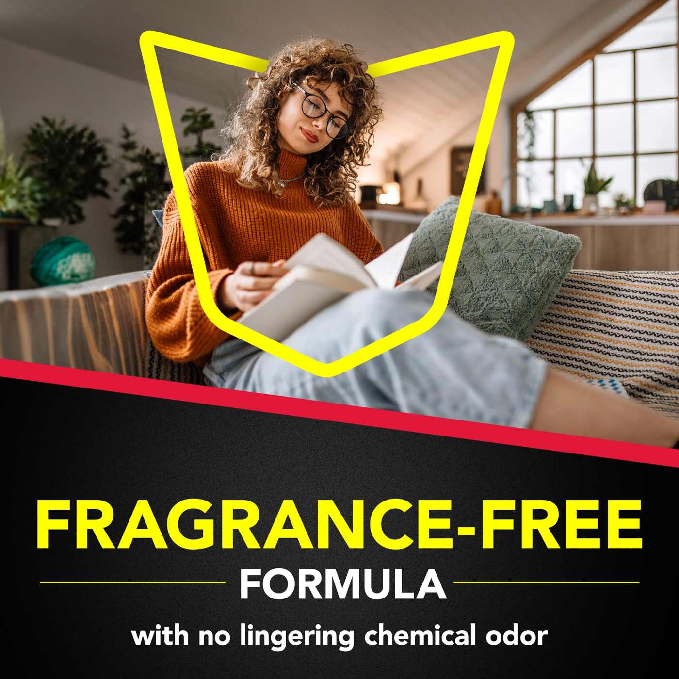 Raid Water-Based Ant & Roach Indoor Bug Spray - Shop Insect killers at ...