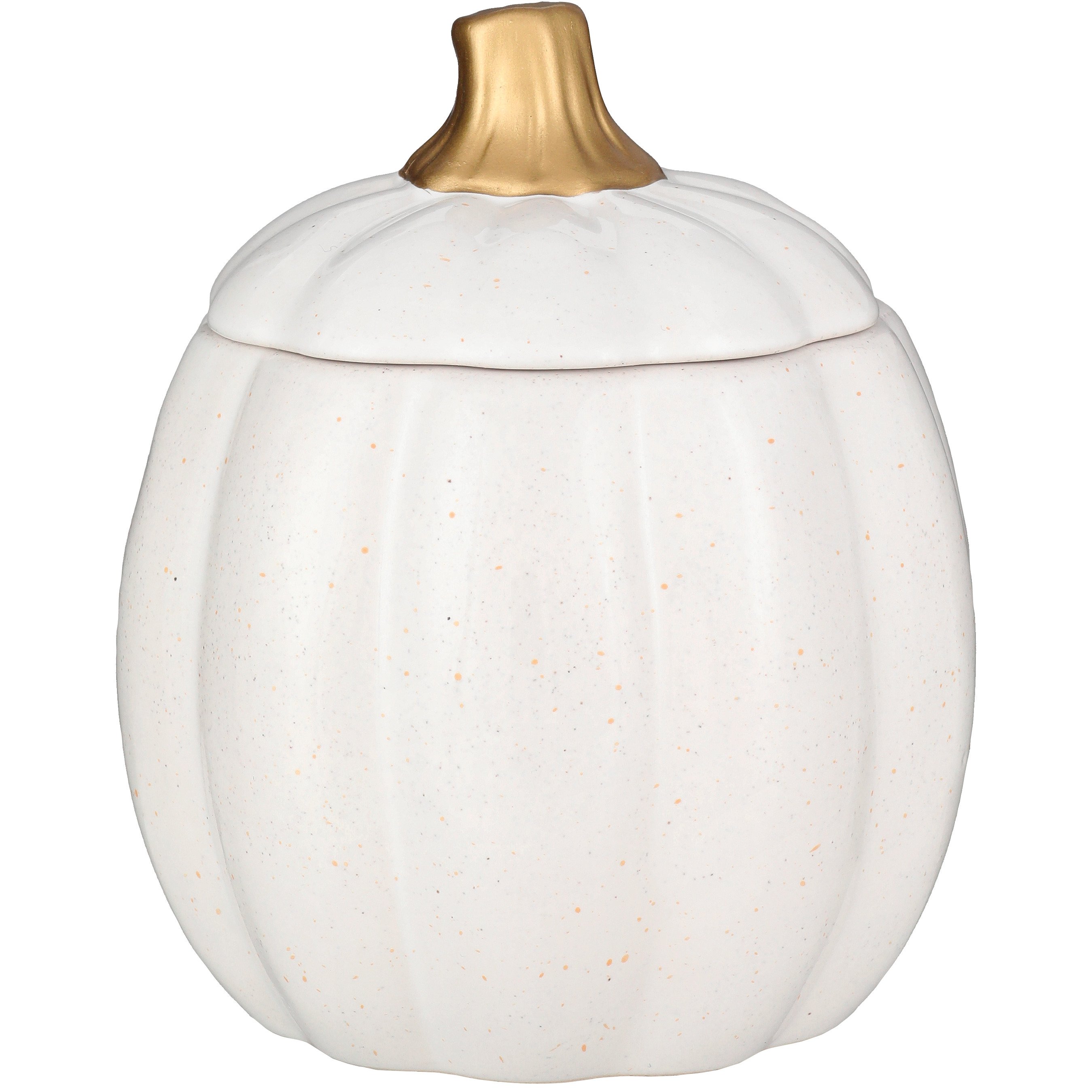 Destination Holiday Pumpkin Cookie Jar - Shop Serving dishes at H-E-B