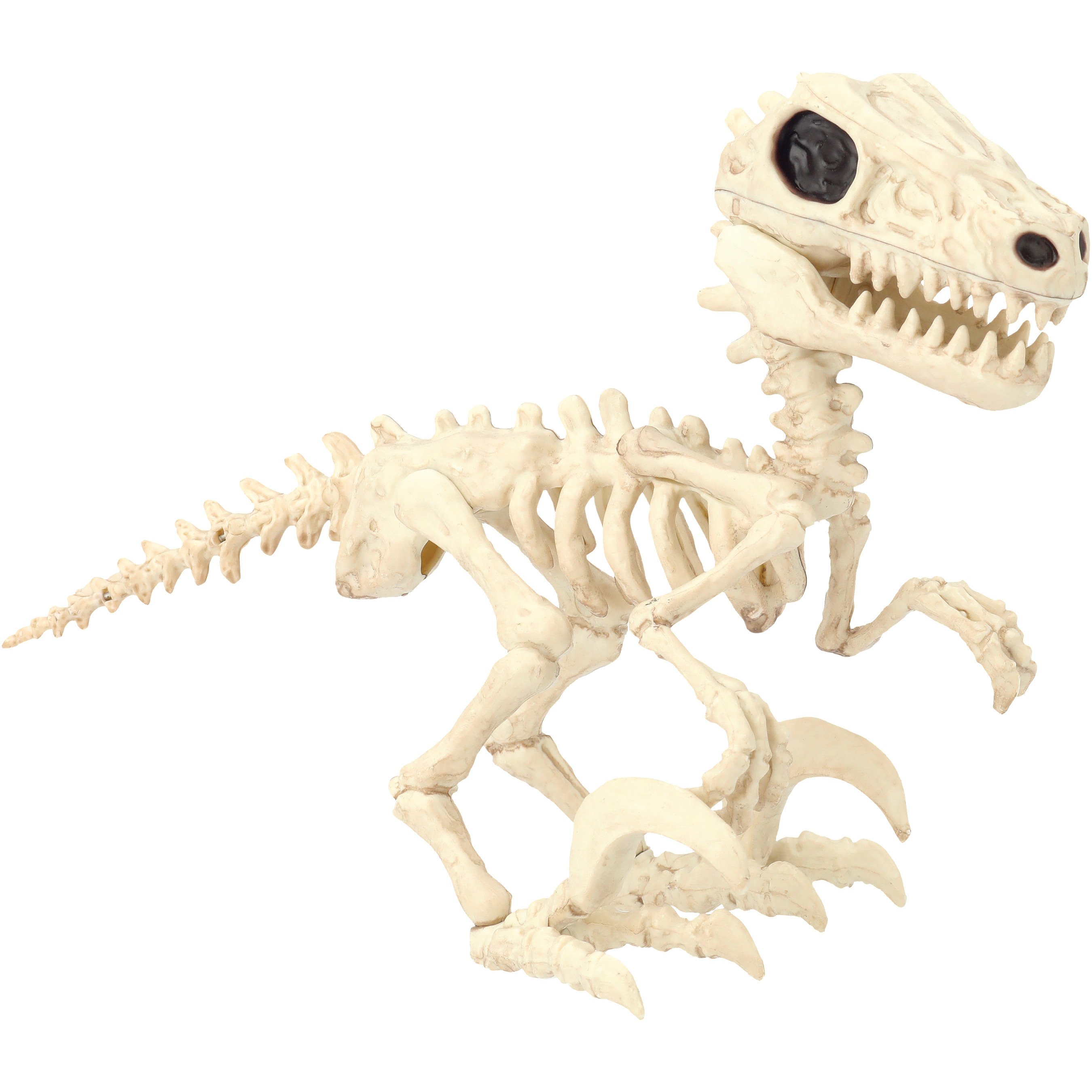 Destination Holiday Halloween Skeleton - Raptor - Shop Seasonal decor ...