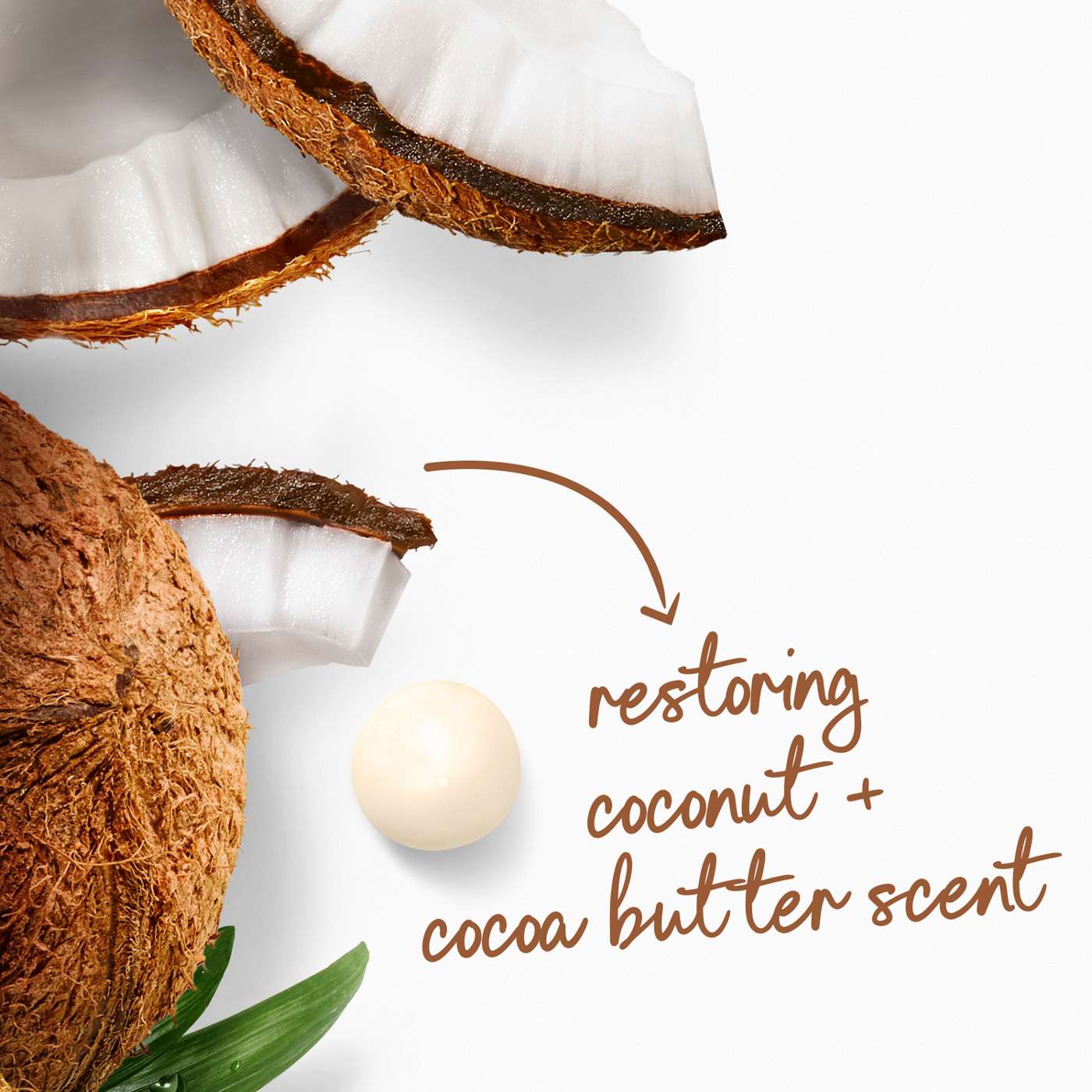 Dove Restoring Body Wash - Coconut & Cocoa Butter - Shop Body wash at H-E-B
