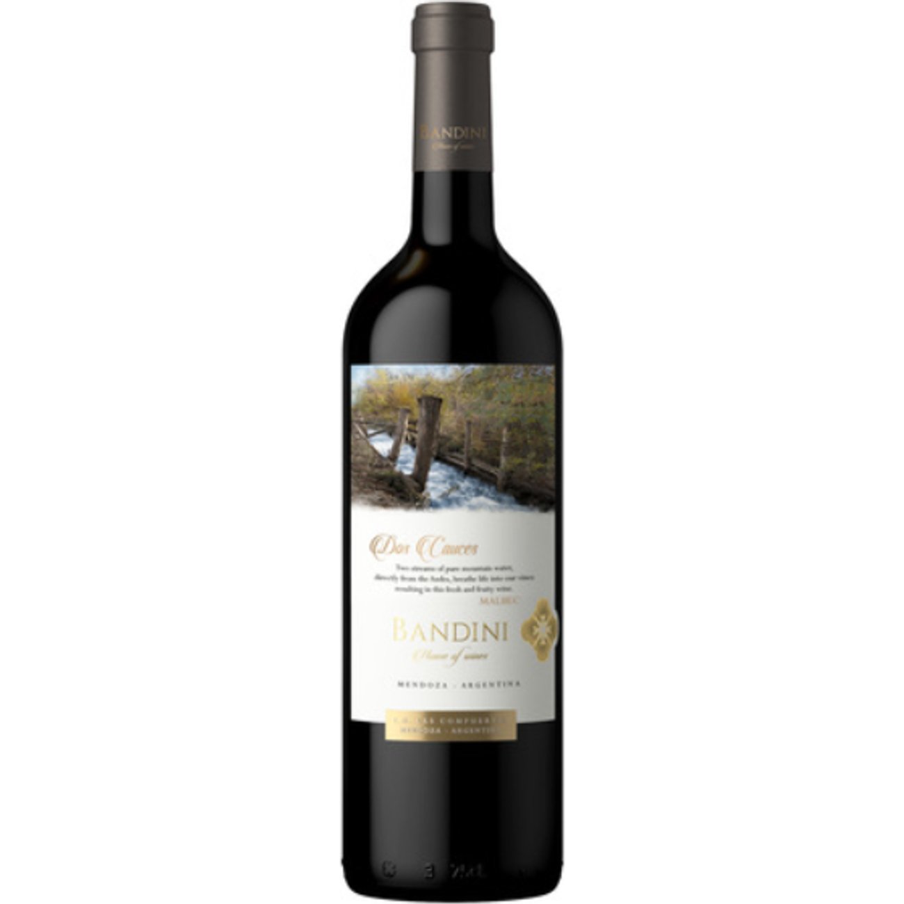 Bandini Dos Cauces Malbec Argentina Red Wine - Shop Wine at H-E-B