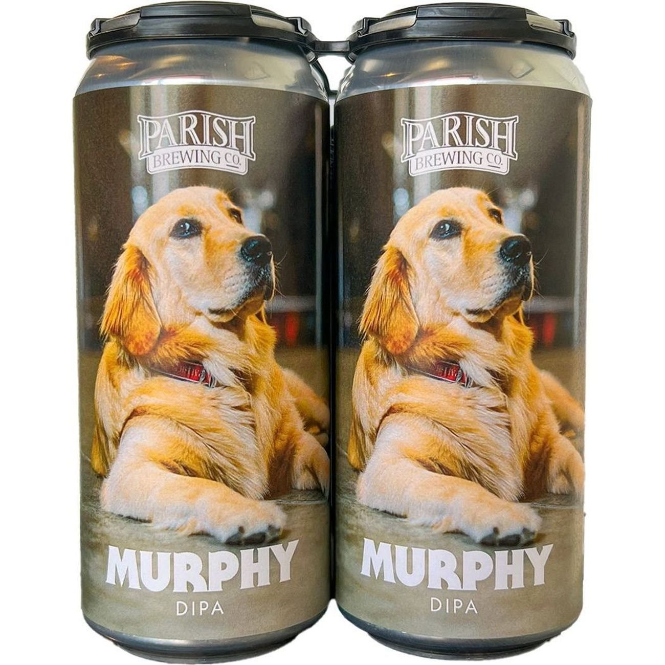 Parish Brewing Specialty Rotating Series Beer 4 pk Cans - Shop Beer at ...