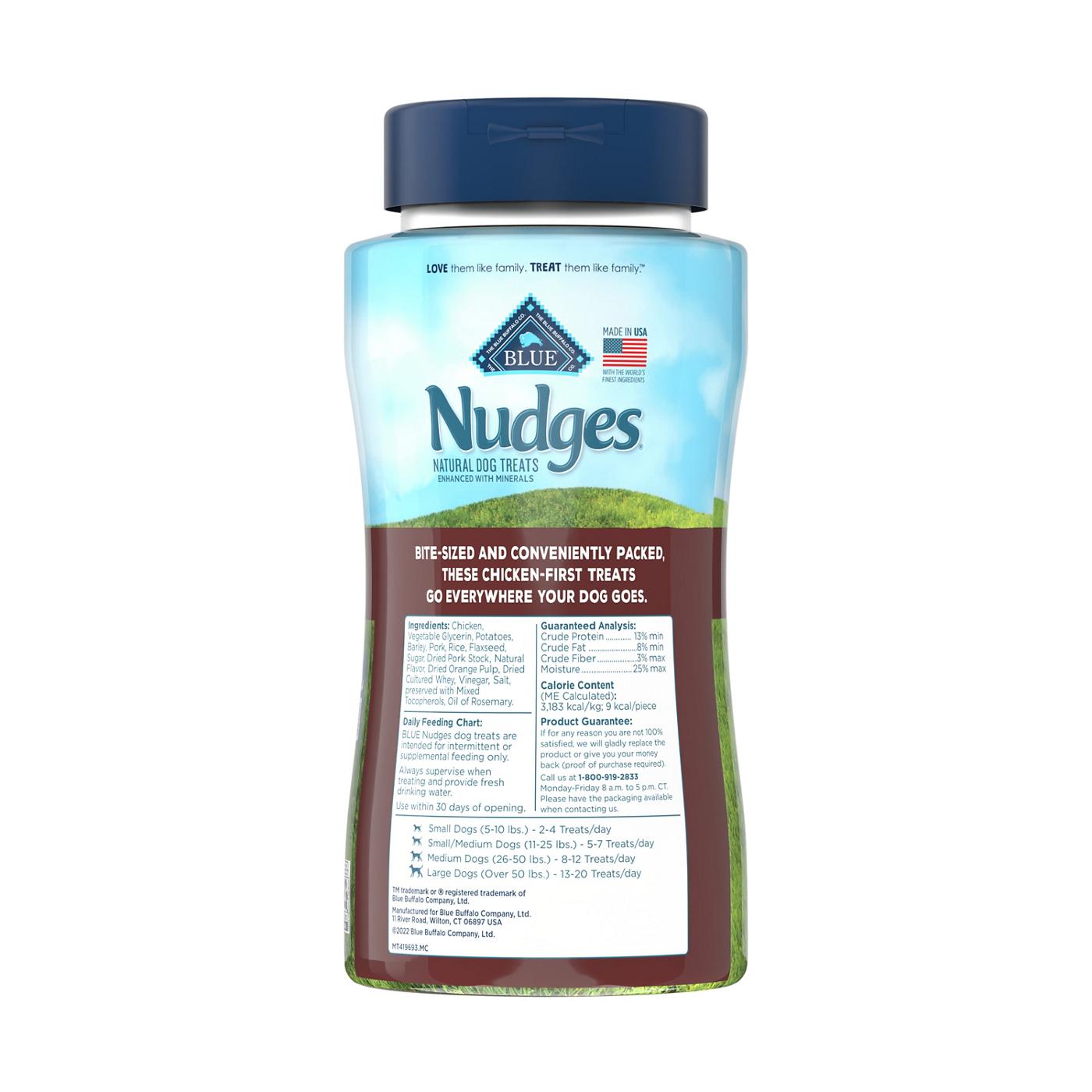 Blue Buffalo Nudges On the Go Chicken & Pork Dog Treats - Shop Soft ...