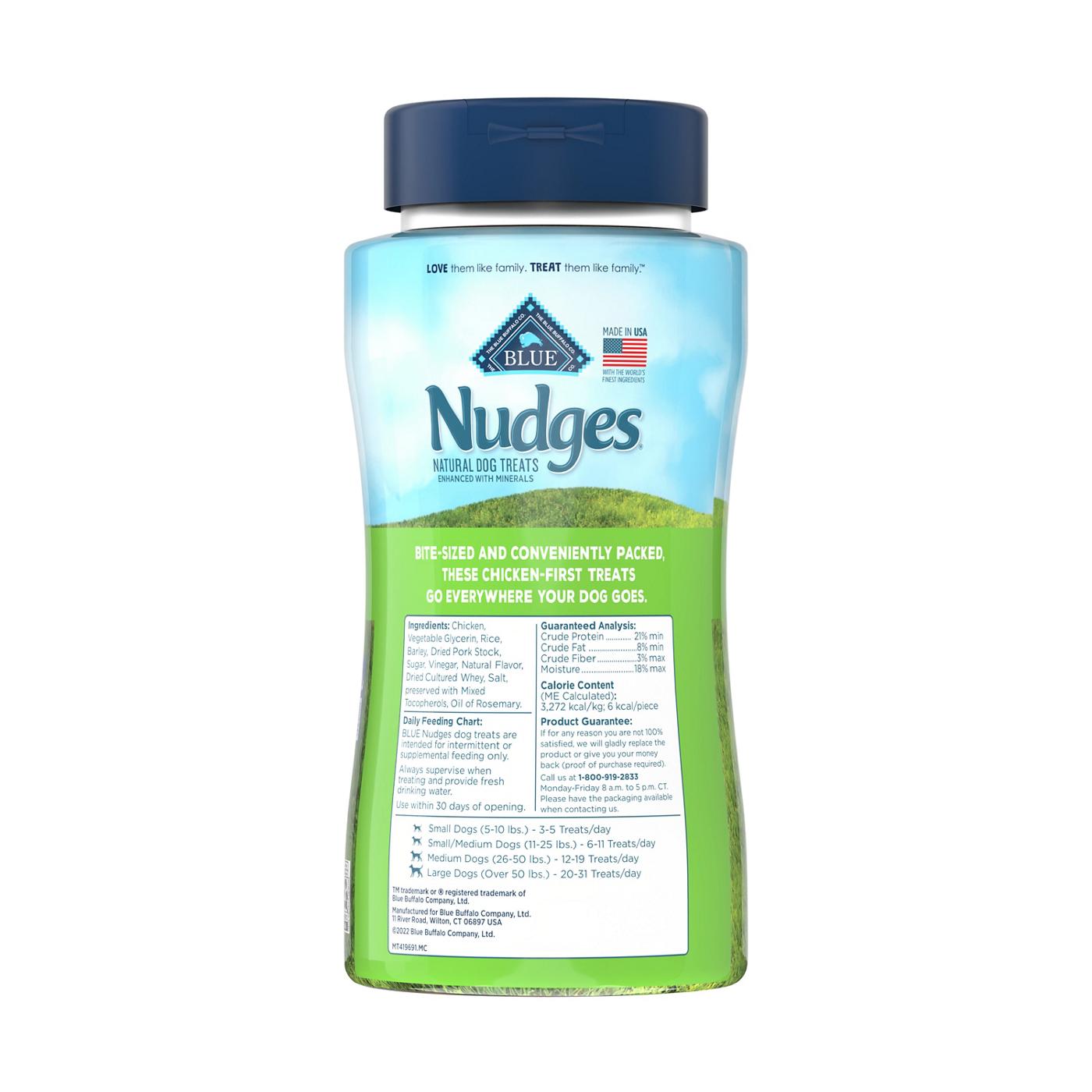 Blue Buffalo Nudges On the Go Chicken Dog Treats - Shop Soft & chewy ...