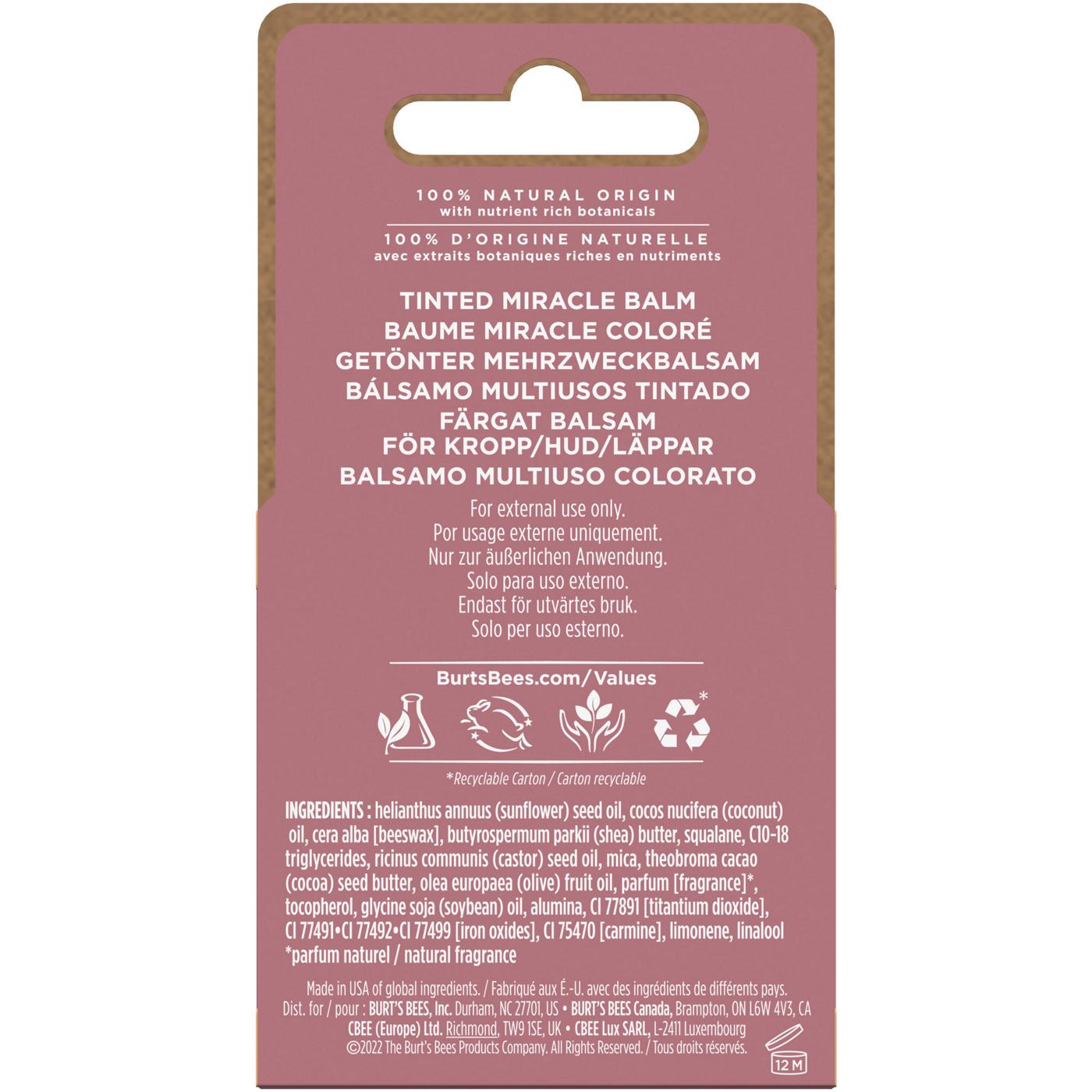 Burt's Bees Tinted Miracle Balm - Desert Rose - Shop Lip balm ...