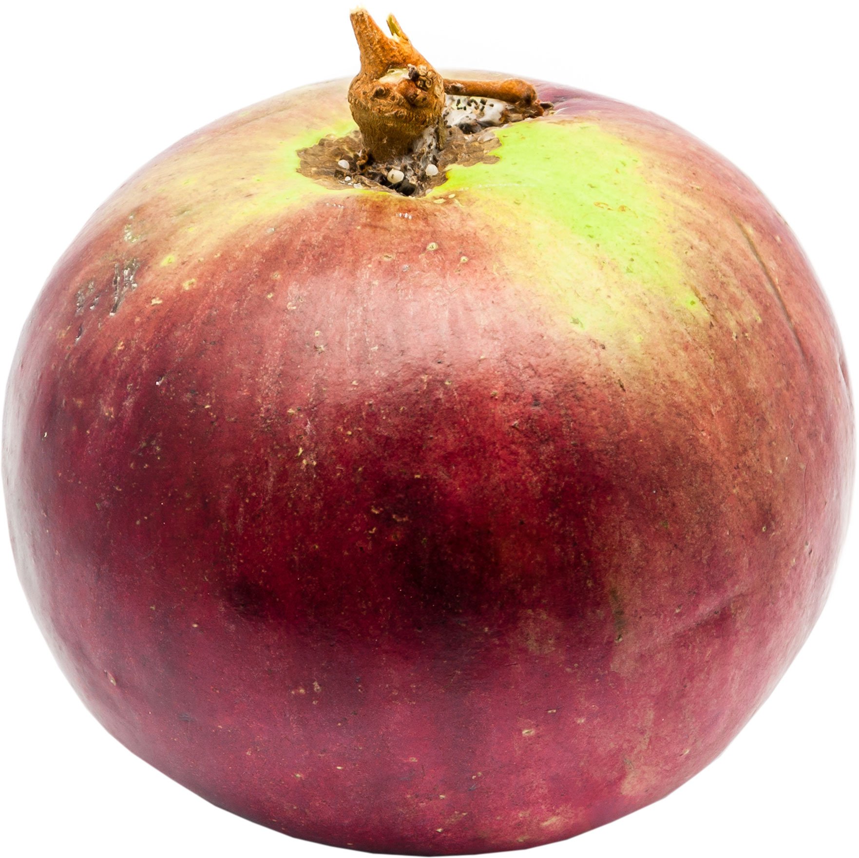 Star Apple - Shop at H-E-B