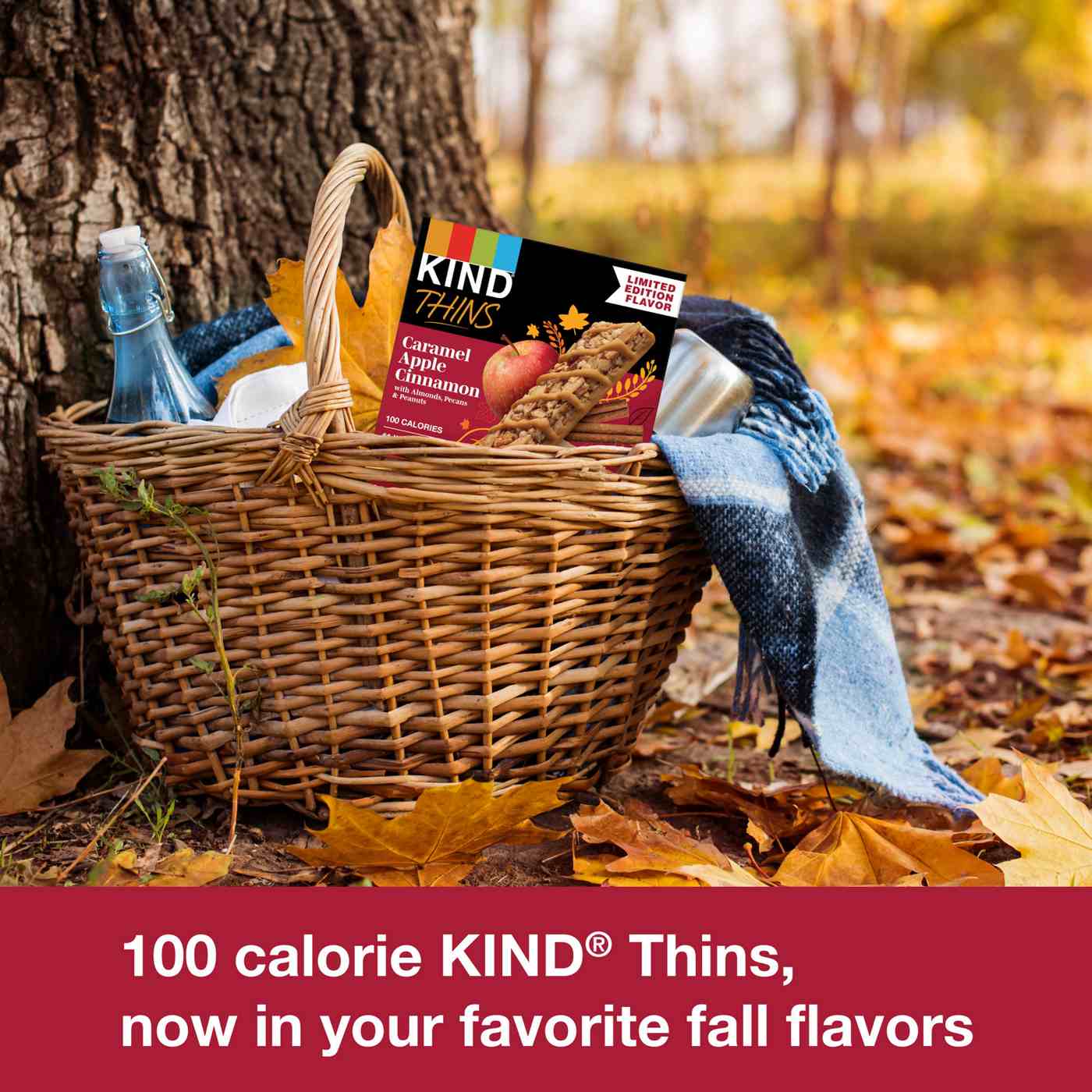 Kind Thins Snack Bars - Caramel Apple Cinnamon - Shop Granola & snack ...