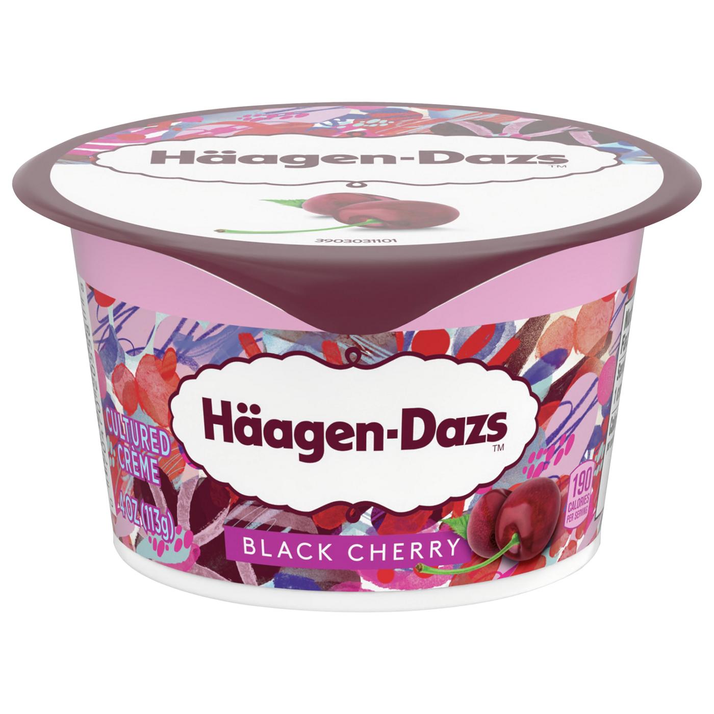 Haagen-Dazs Cultured Crème Yogurt Style Snack – Black Cherry - Shop ...