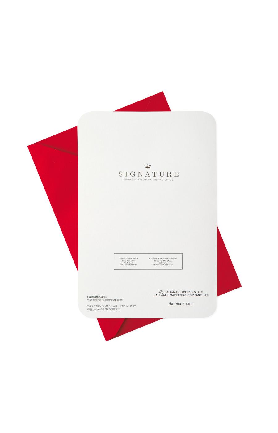 Hallmark Removable Felt Heart Ornament Signature Valentine's Day Card ...