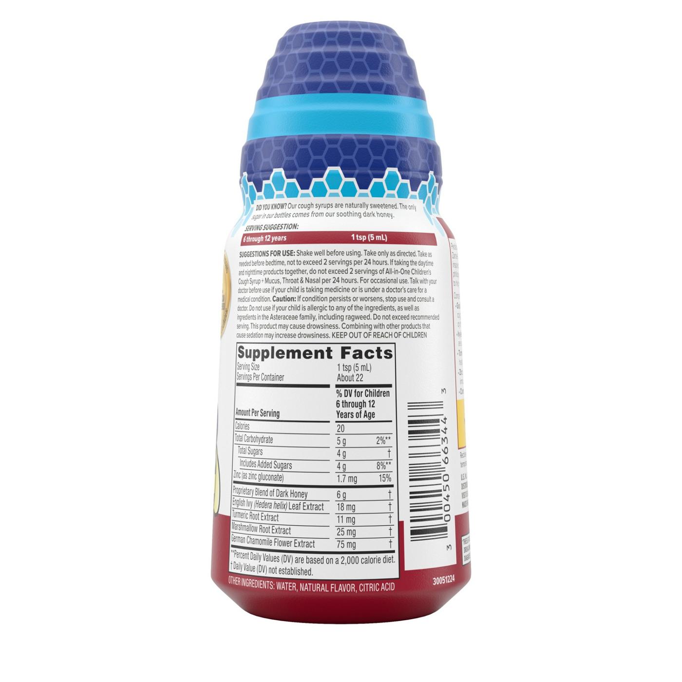 Zarbee's All-In-One Children's Nighttime Cough Syrup+ - Shop Cough ...