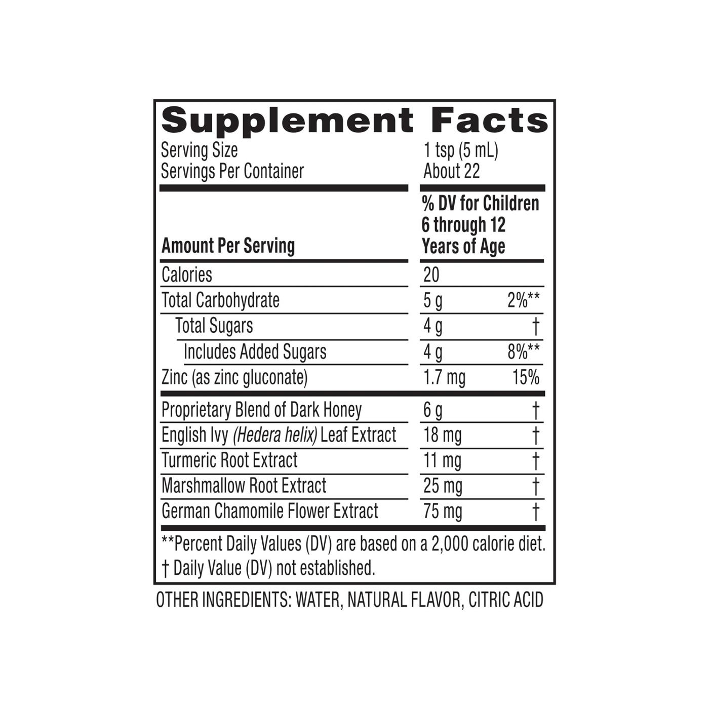 Zarbee's All-In-One Children's Nighttime Cough Syrup+ - Shop Cough ...