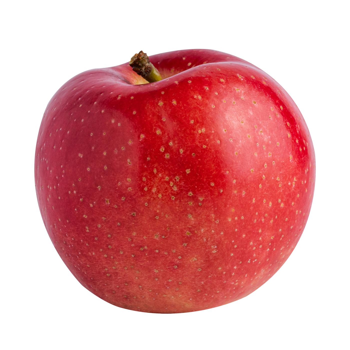 Fresh Sunrise Magic Apple - Shop Apples at H-E-B