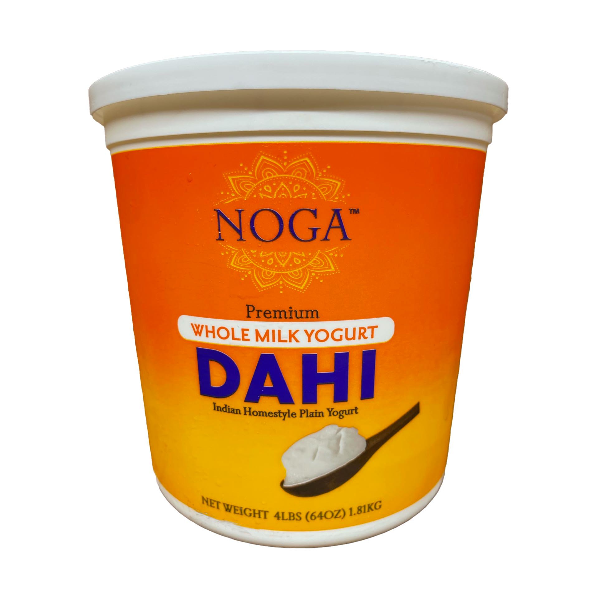 Noga Indian Homestyle Dahi Plain Whole Milk Yogurt - Shop Yogurt at H-E-B