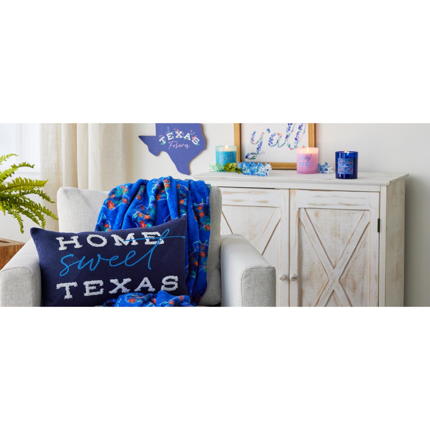 Destination Holiday Texas Plush Throw Blanket - Blue - Shop Blankets ...