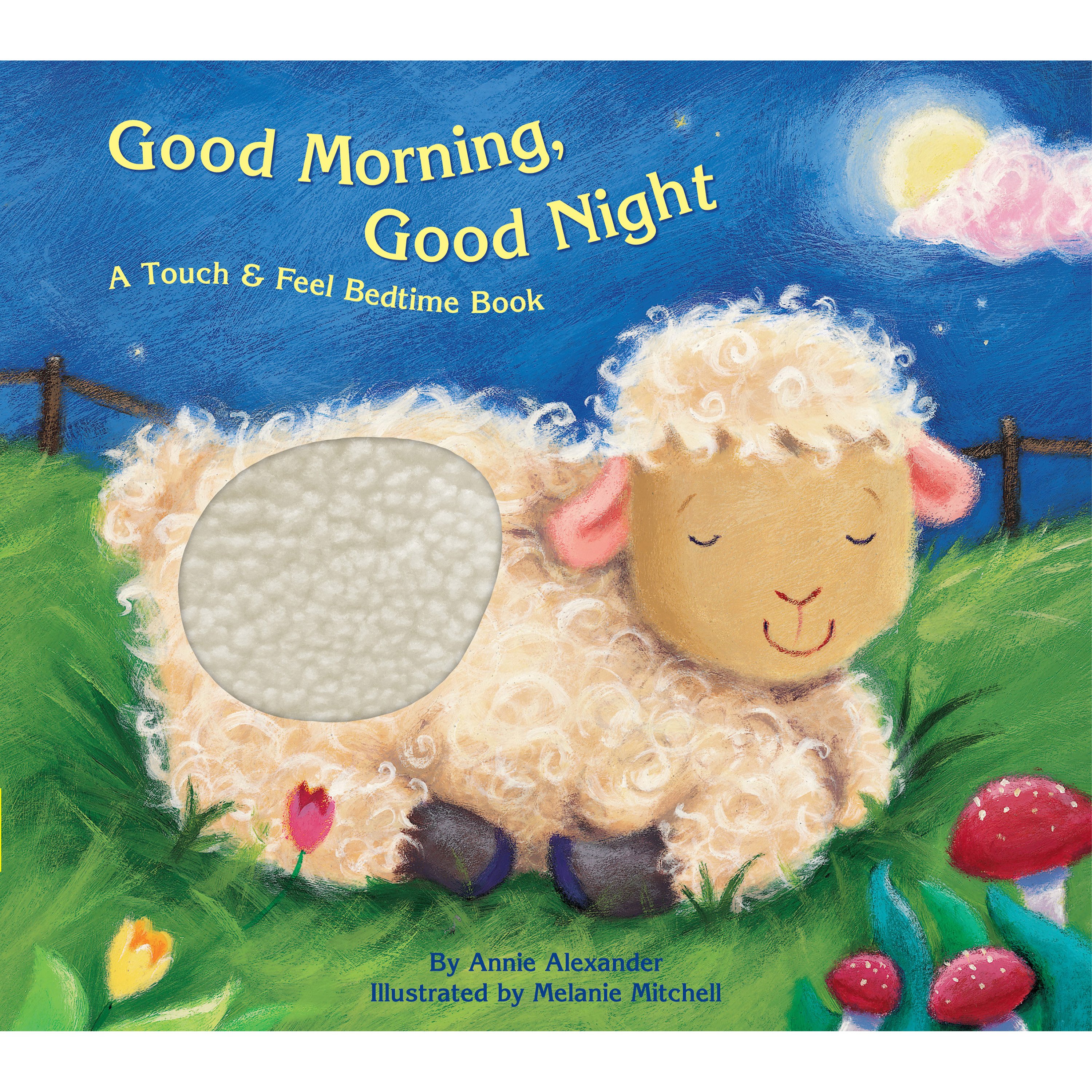 Bendon Good Morning, Good Night: A Touch & Feel Bedtime Book by Annie ...