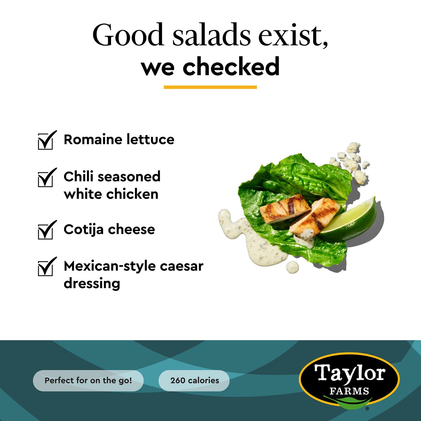 Taylor Farms Mexican Style Caesar Salad Bowl - Shop Salads at H-E-B