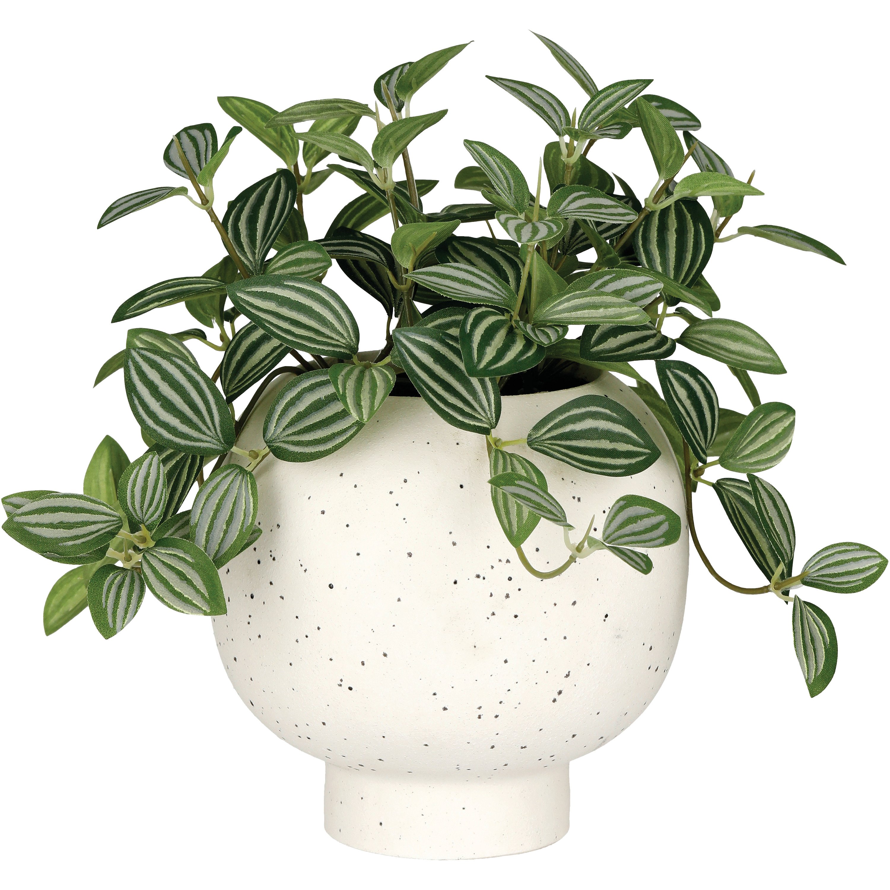 Haven + Key Faux Wandering Jew Plant in Ceramic Pot - Shop Seasonal ...
