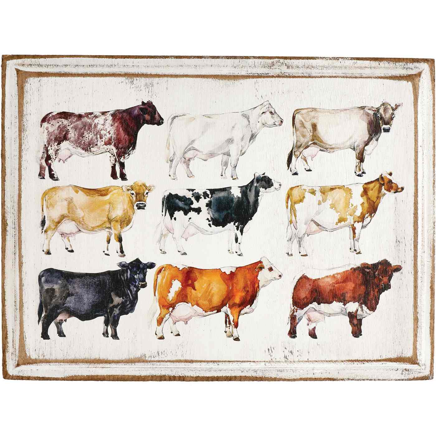 Texas Proud Cow Breeds Wall Decoration - Shop Seasonal decor at H-E-B