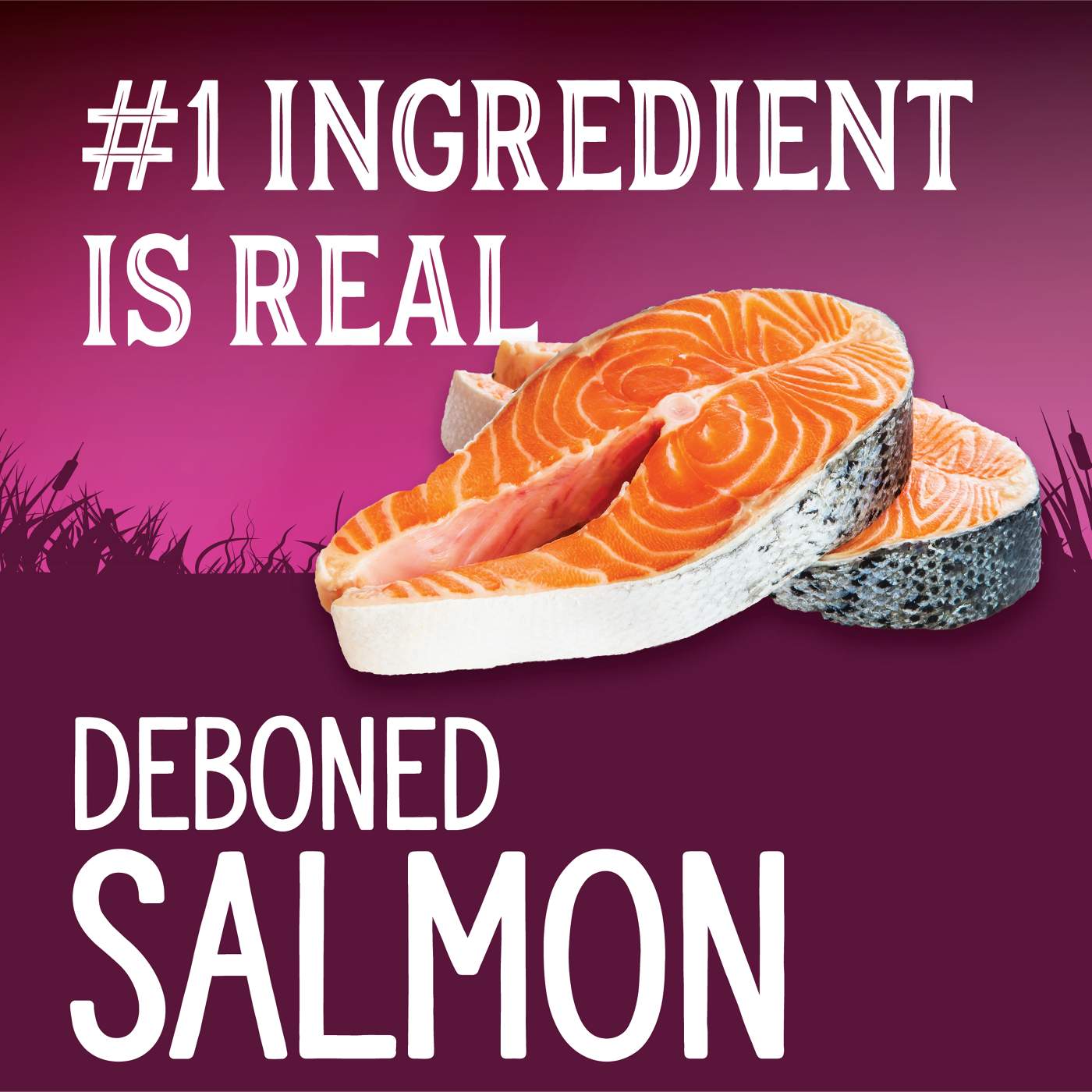 Triumph Wild Spirit Deboned Salmon & Sweet Potato Cat Food - Shop Food ...