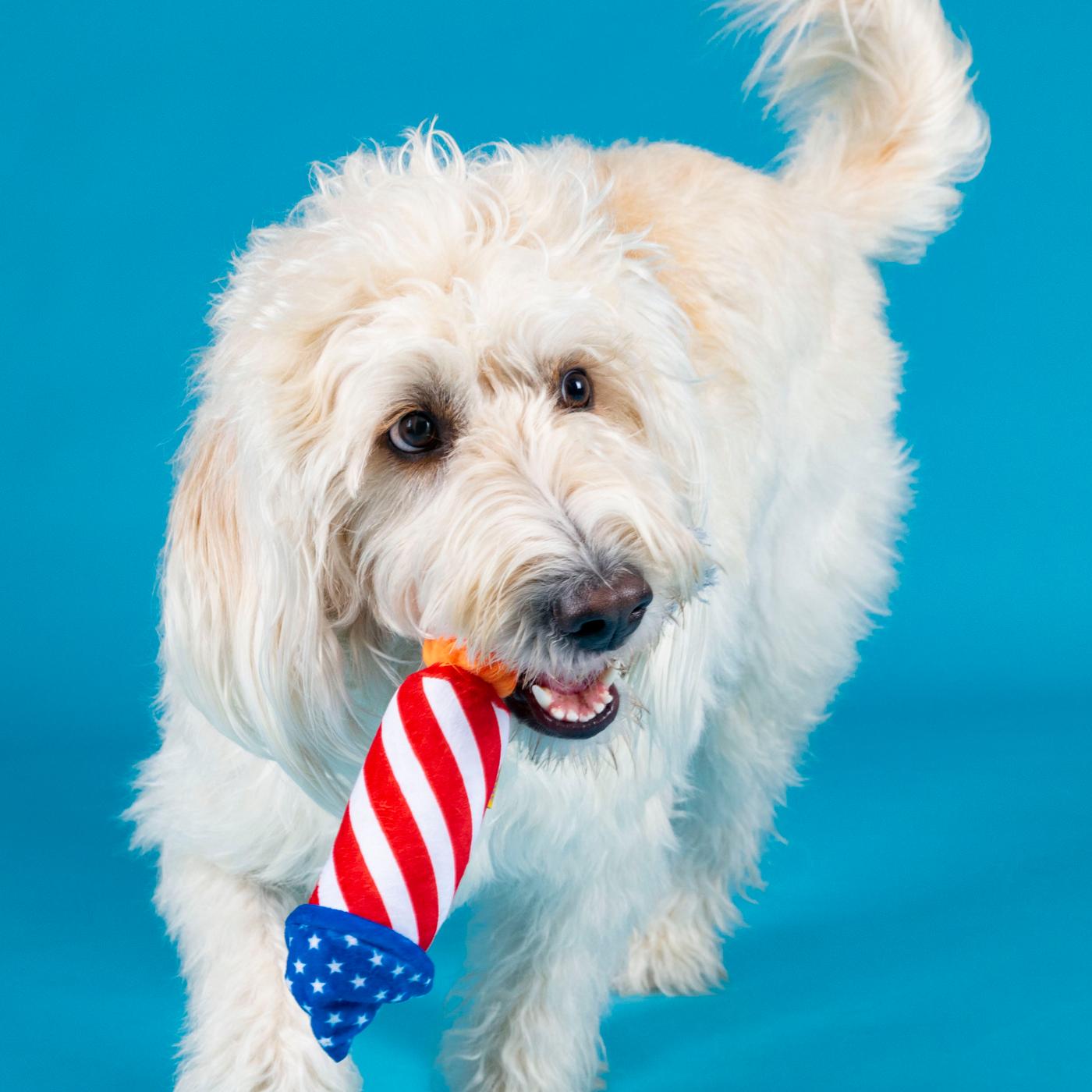 Woof & Whiskers Plush Dog Toy - Fire Cracker Rope - Shop Rope & Tug ...