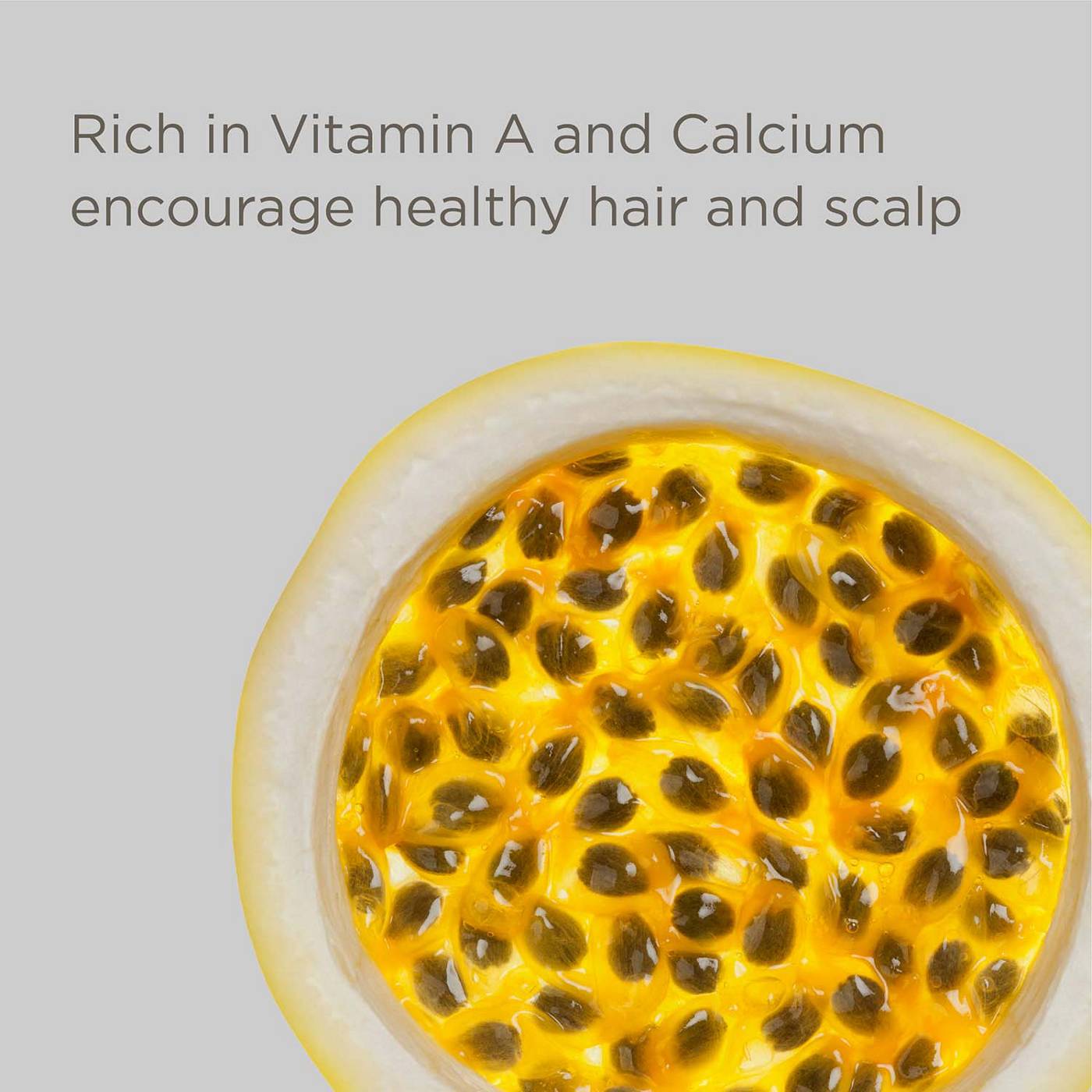 Hairitage Color Check Color Care Moisture Shampoo - Shop Shampoo ...