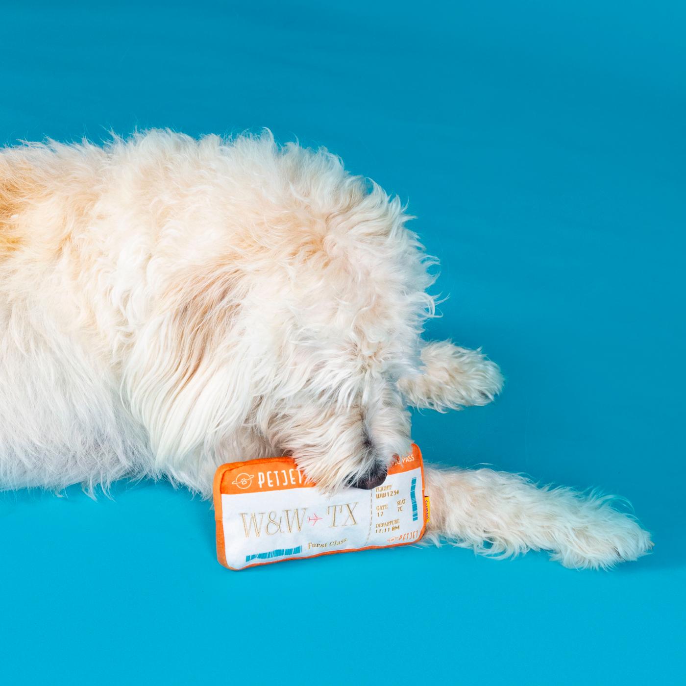 Woof & Whiskers Plush Dog Toy - Boarding Pass - Shop Plush toys at H-E-B