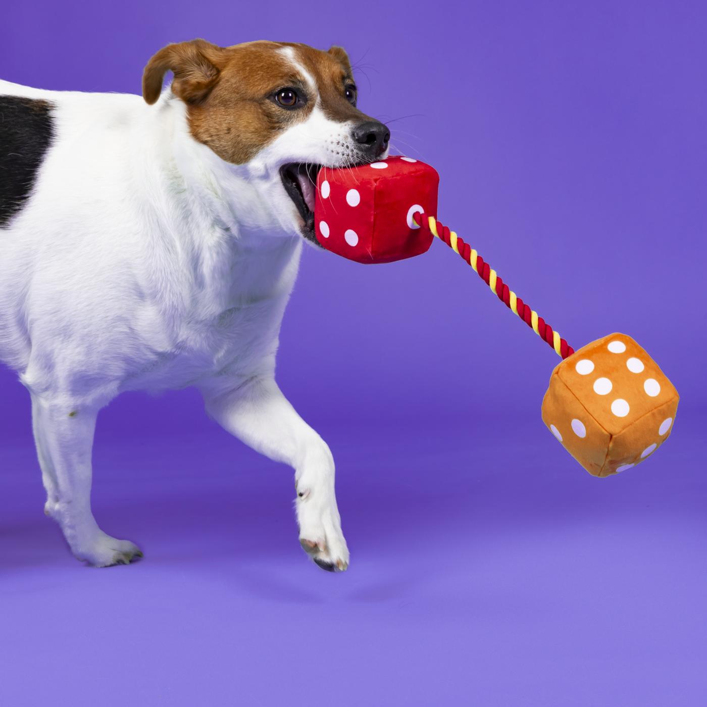 Woof & Whiskers Plush Dog Toy - Dice On Rope - Shop Rope & tug toys at ...