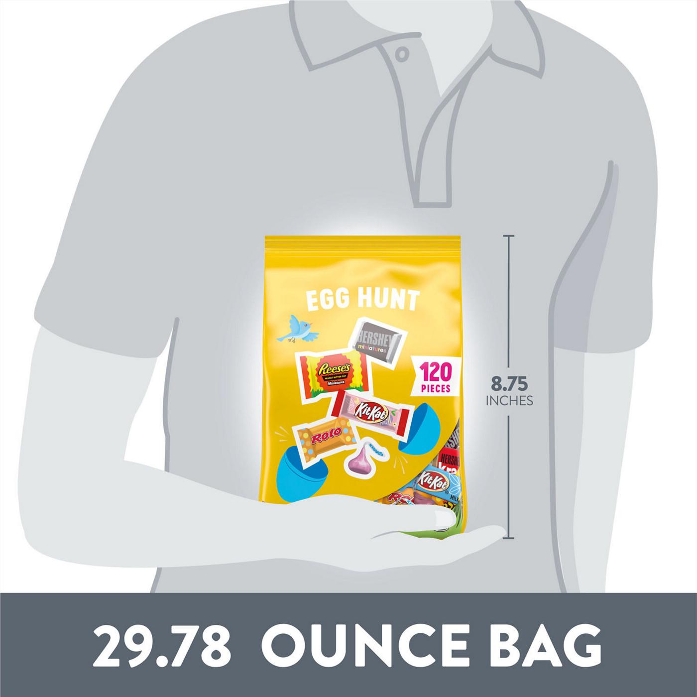 Hershey's, Reese's, Kit Kat & Rolo Assorted Easter Egg Hunt Candy ...