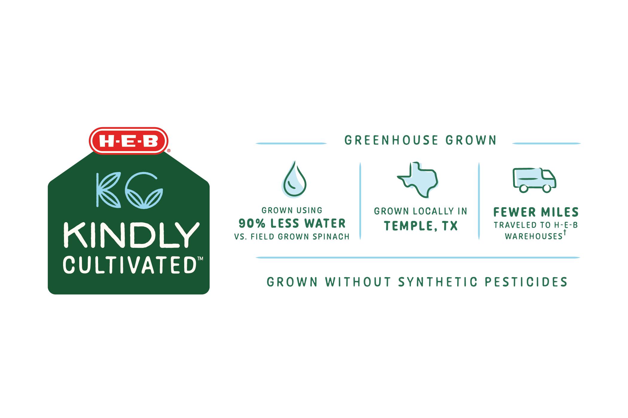 H-E-B Kindly Cultivated Fresh Baby Arugula - Shop Lettuce & leafy ...