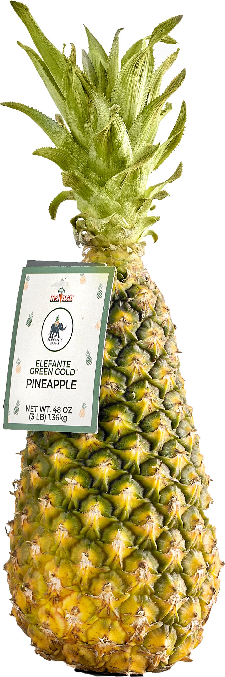 Fresh Elefante Green Gold Pineapple, 3 lb | Central Market - Really ...