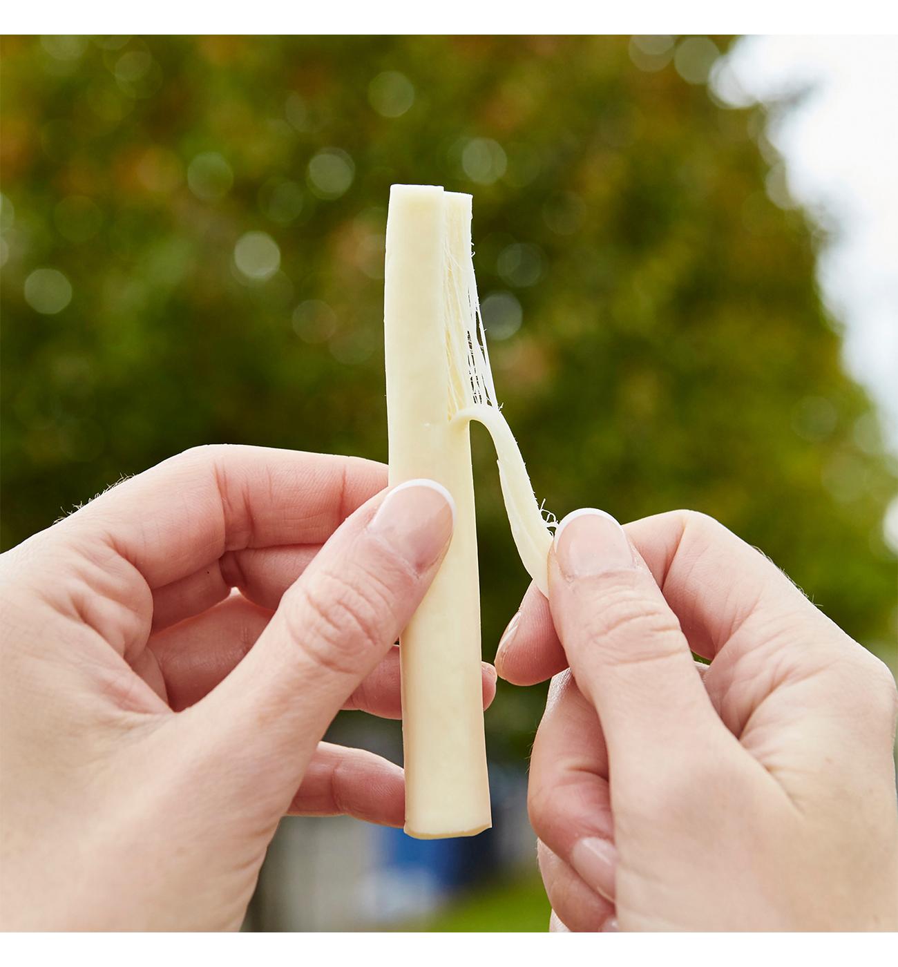 SARGENTO Low Moisture Part-Skim Mozzarella String Cheese, 12 ct - Shop ...