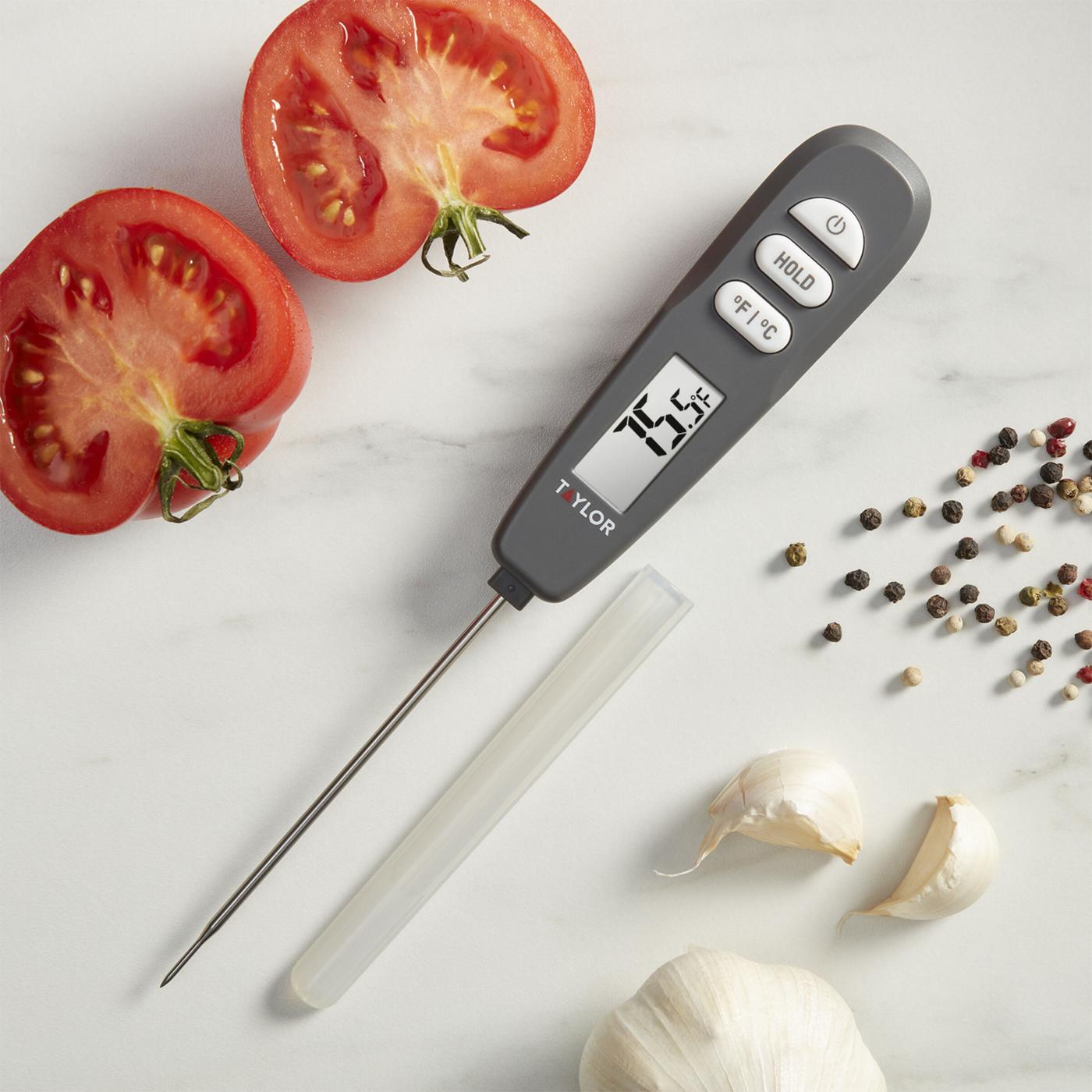 Taylor Commercial Precision Digital Thermometer - Shop Utensils & gadgets at H-E-B