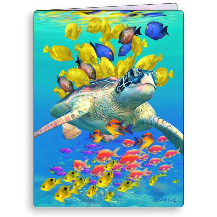 Artgame Turtle Reef 3D Pocket Poly Folder - Shop Folders at H-E-B