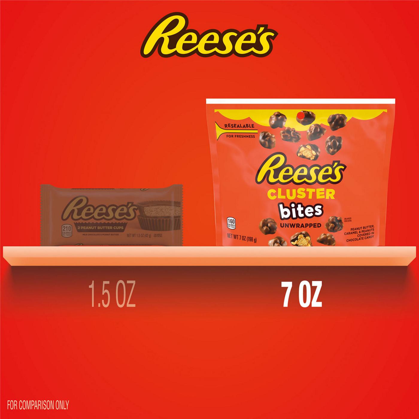 Reese's Cluster Bites Peanut Butter Caramel & Peanuts Candy - Shop ...