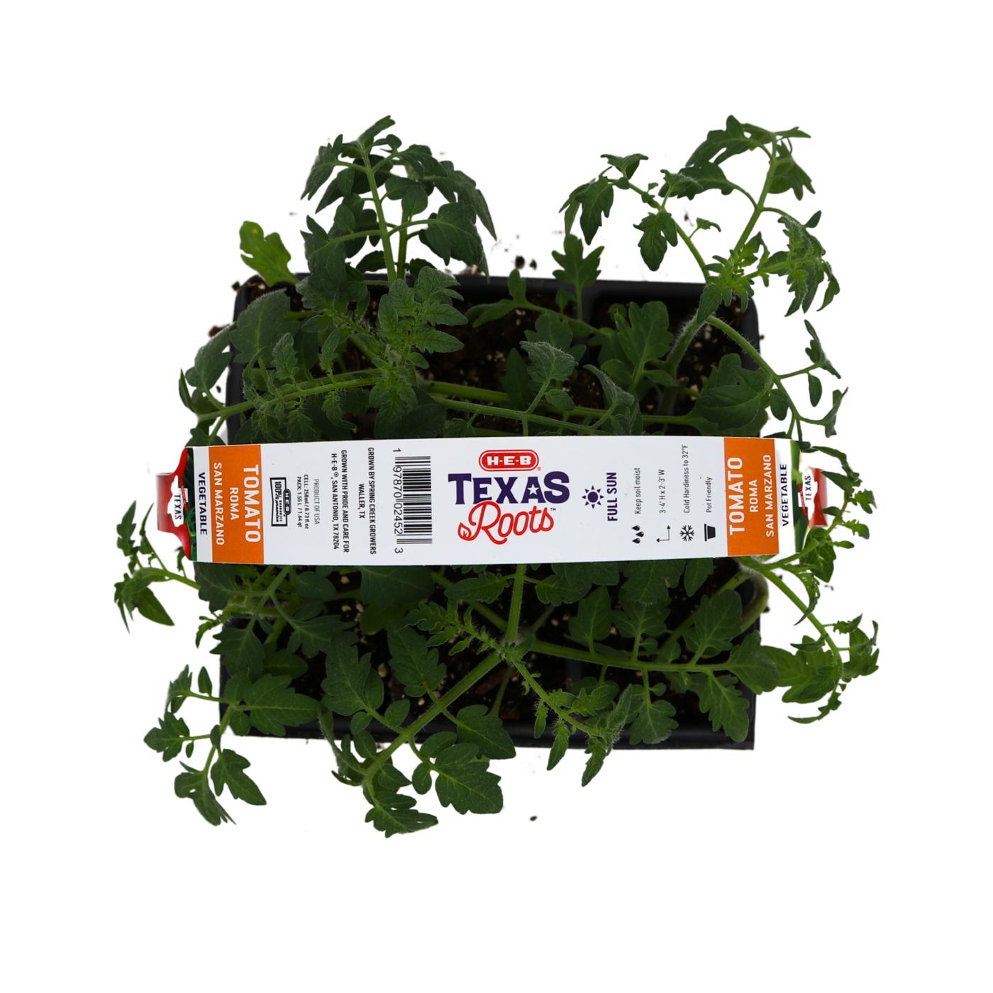 H-E-B Texas Roots San Marzano Roma Tomato Plant - Shop Potted plants at ...