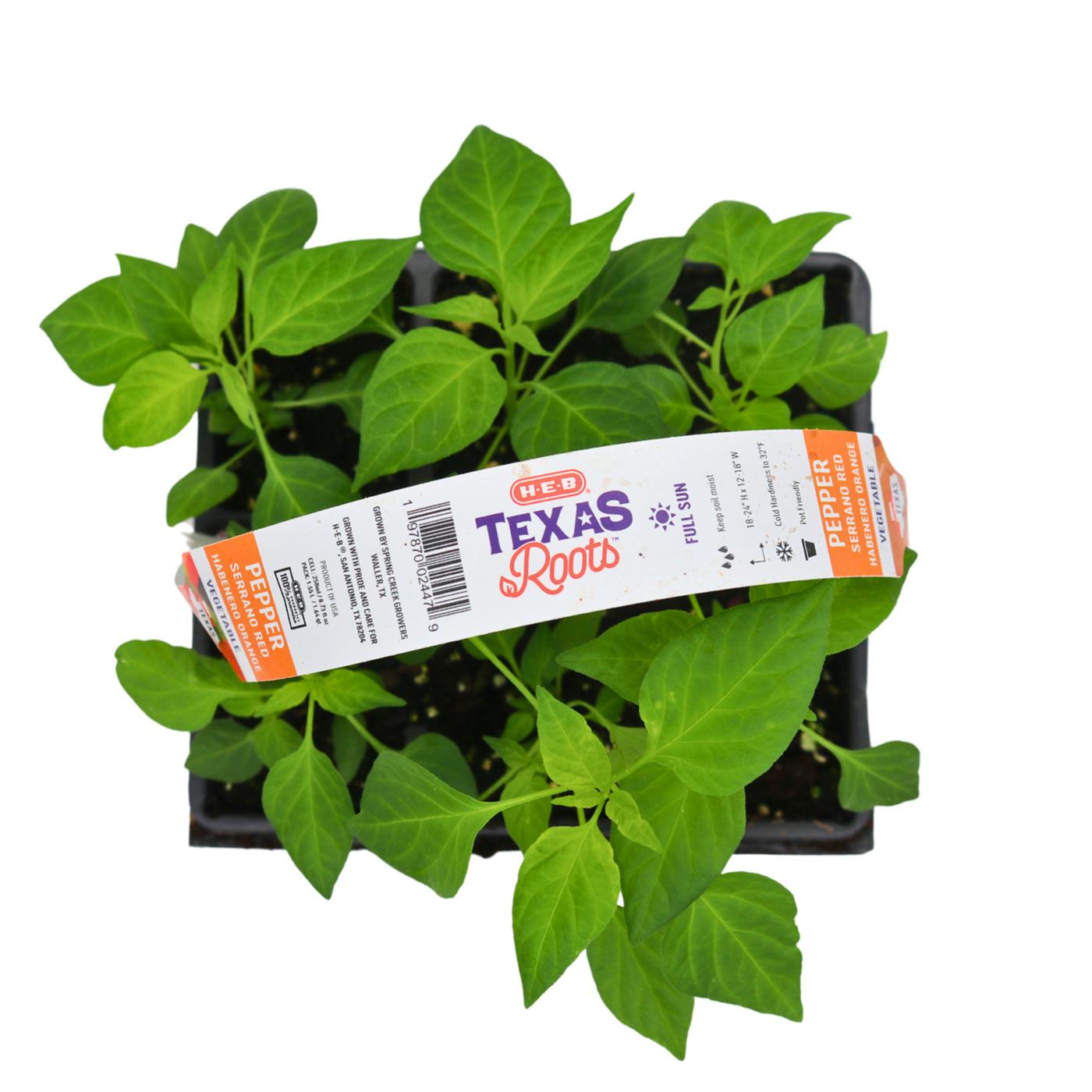 H-E-B Texas Roots Red Serrano And Orange Habanero Pepper Plant - Shop ...