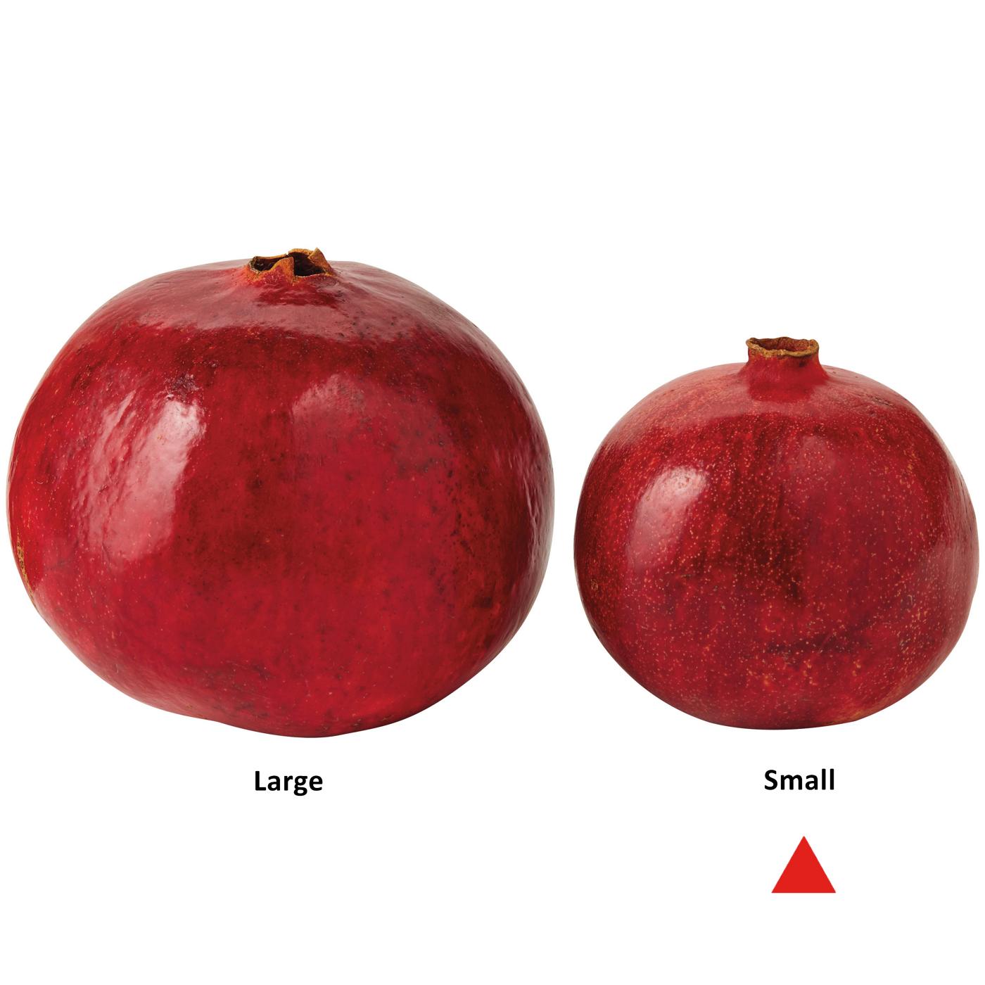 Fresh Small Pomegranate - Shop Specialty & tropical at H-E-B