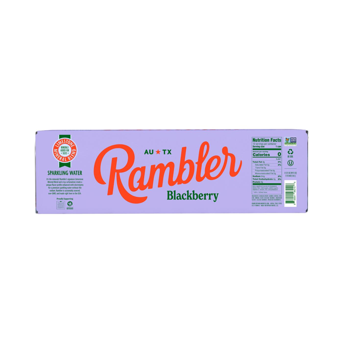 Rambler Blackberry Sparkling Water 12 oz Cans - Shop Water at H-E-B