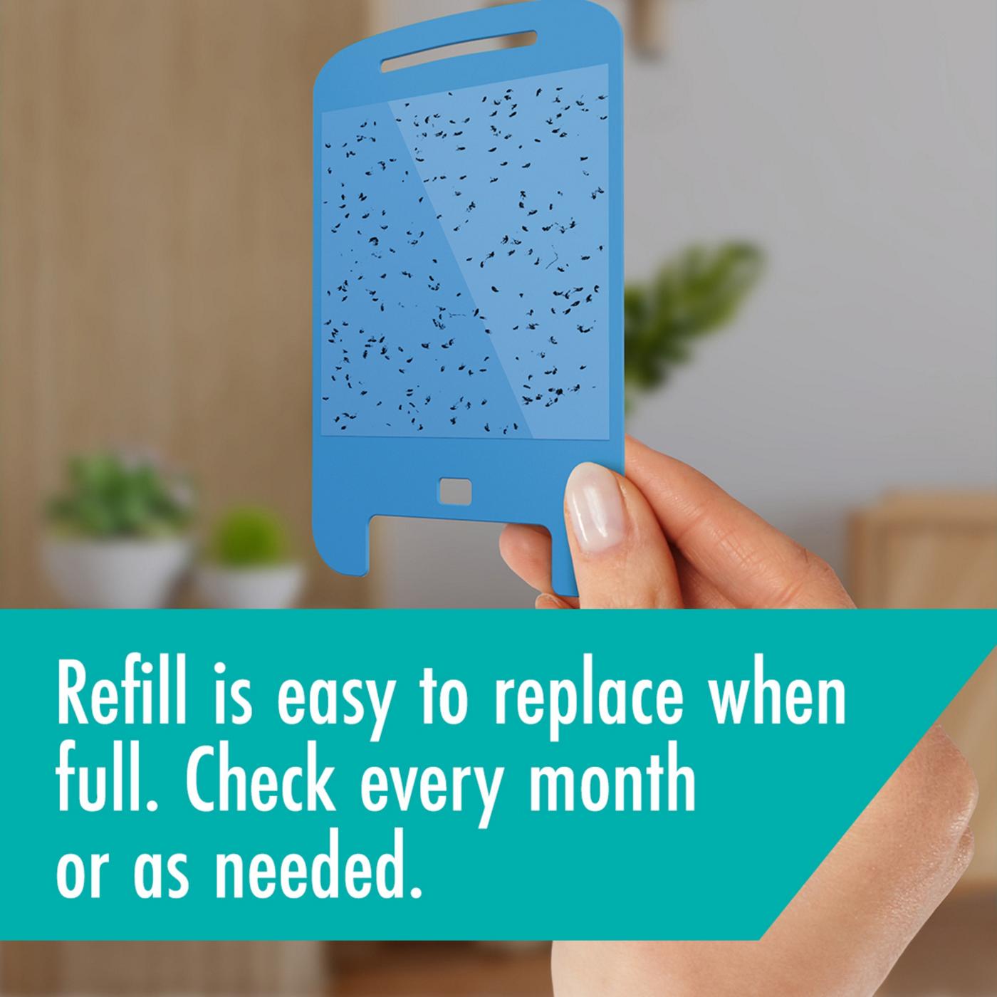 STEM Flying Insect Light Trap Refills - Shop Insect killers at H-E-B