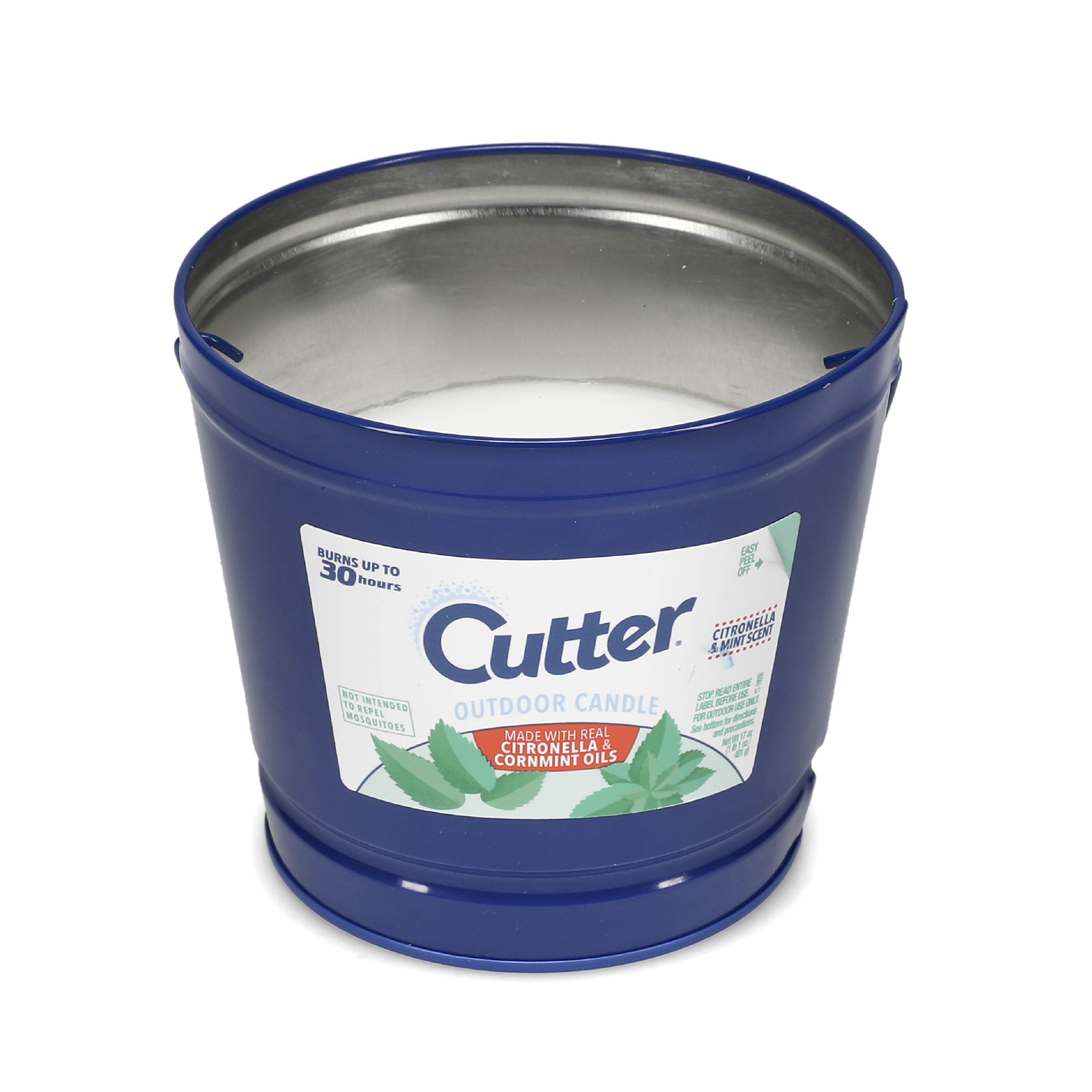 Cutter Outdoor Citronella & Mint Scented Candle - Blue - Shop Insect ...