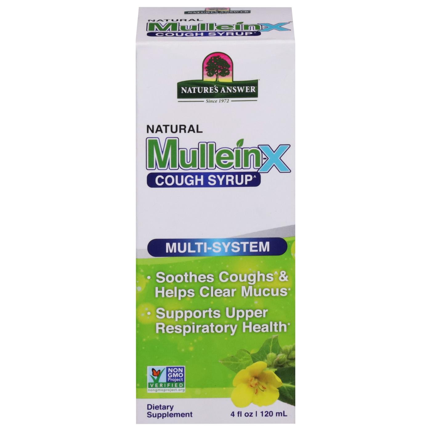 Nature's Answer MulleinX Multi-System Cough Syrup - Shop Cough, cold ...