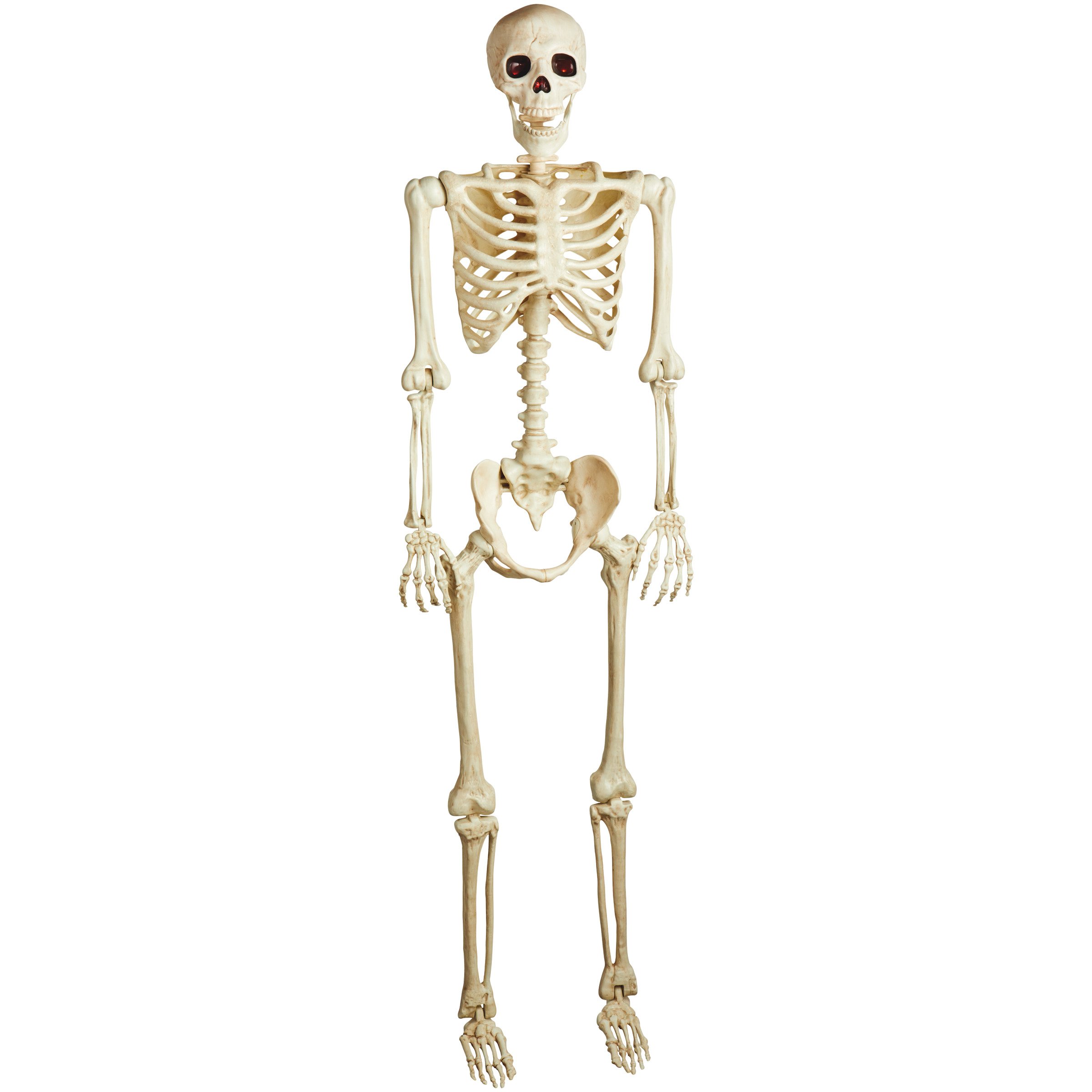 Destination Holiday Halloween Light Up Lifesize Posable Skeleton - Shop ...