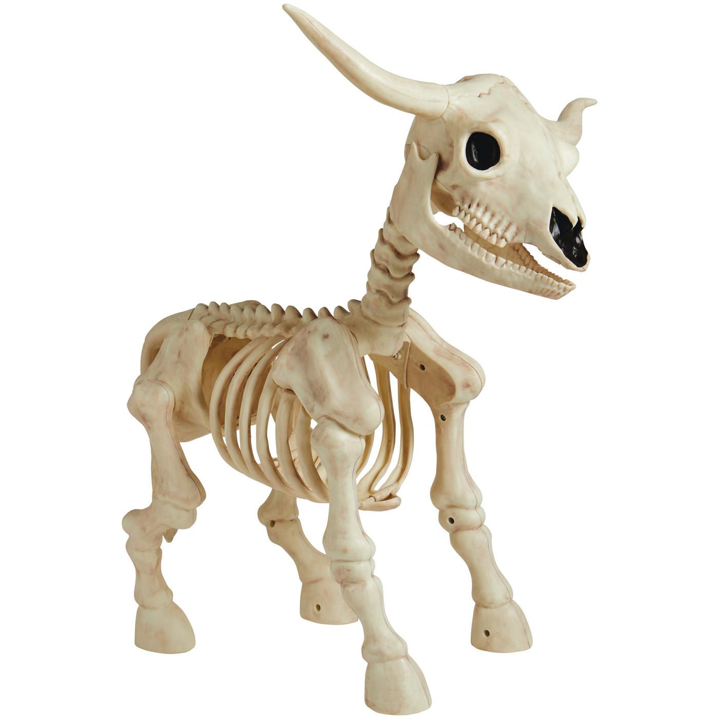 Destination Holiday Longhorn Halloween Skeleton - Shop Party decor at H-E-B