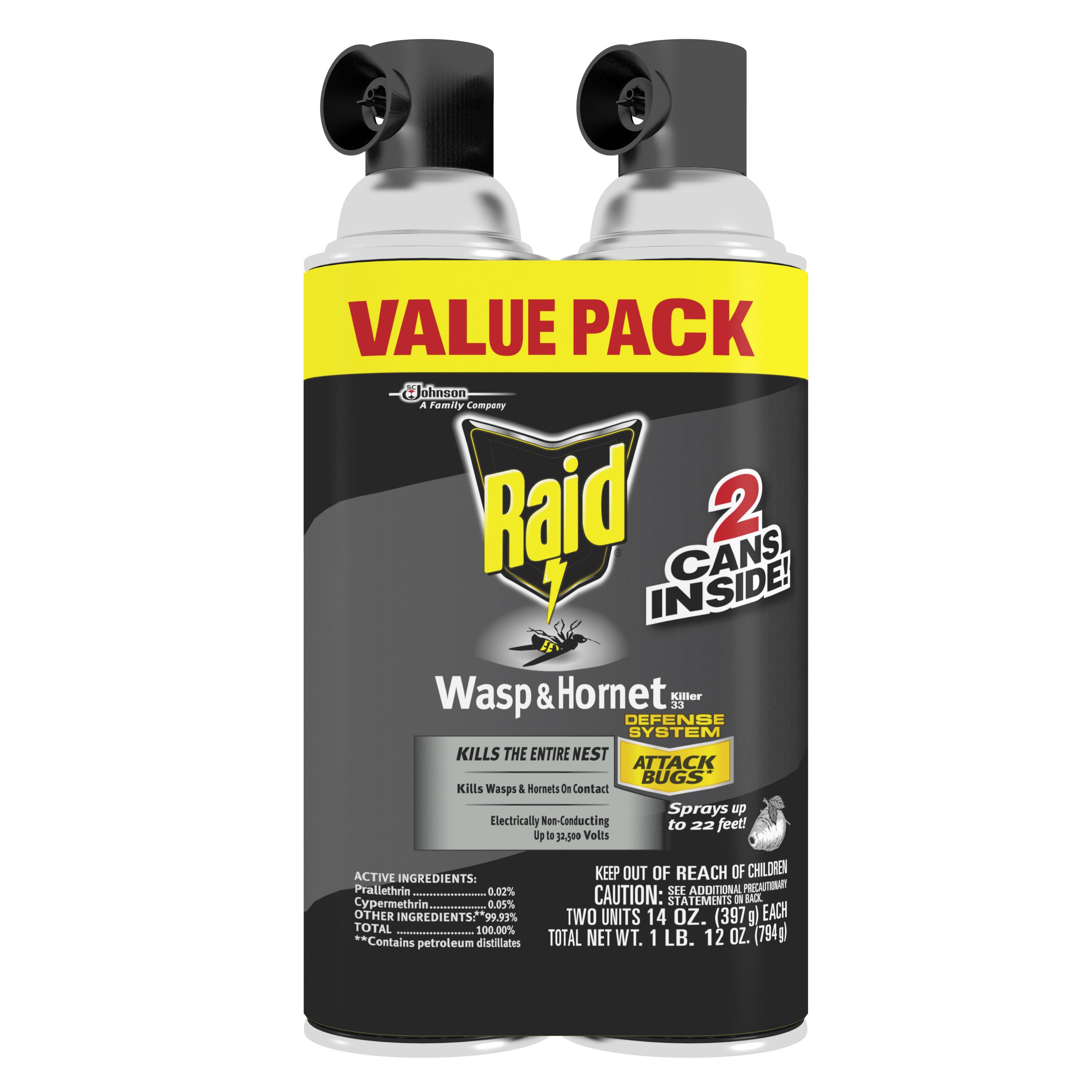 Raid Wasp & Hornet Killer 33, 2 Pk - Shop Insect killers at H-E-B