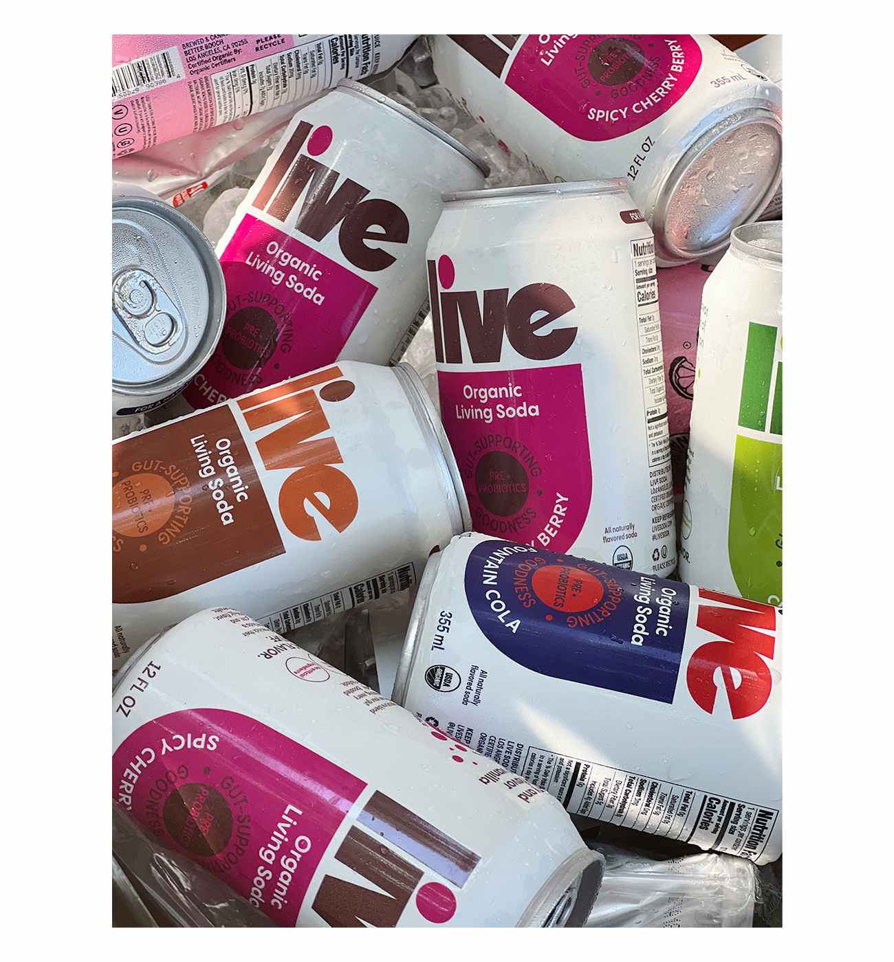 LIVE Soda Organic Probiotic Cola - Shop Soda at H-E-B