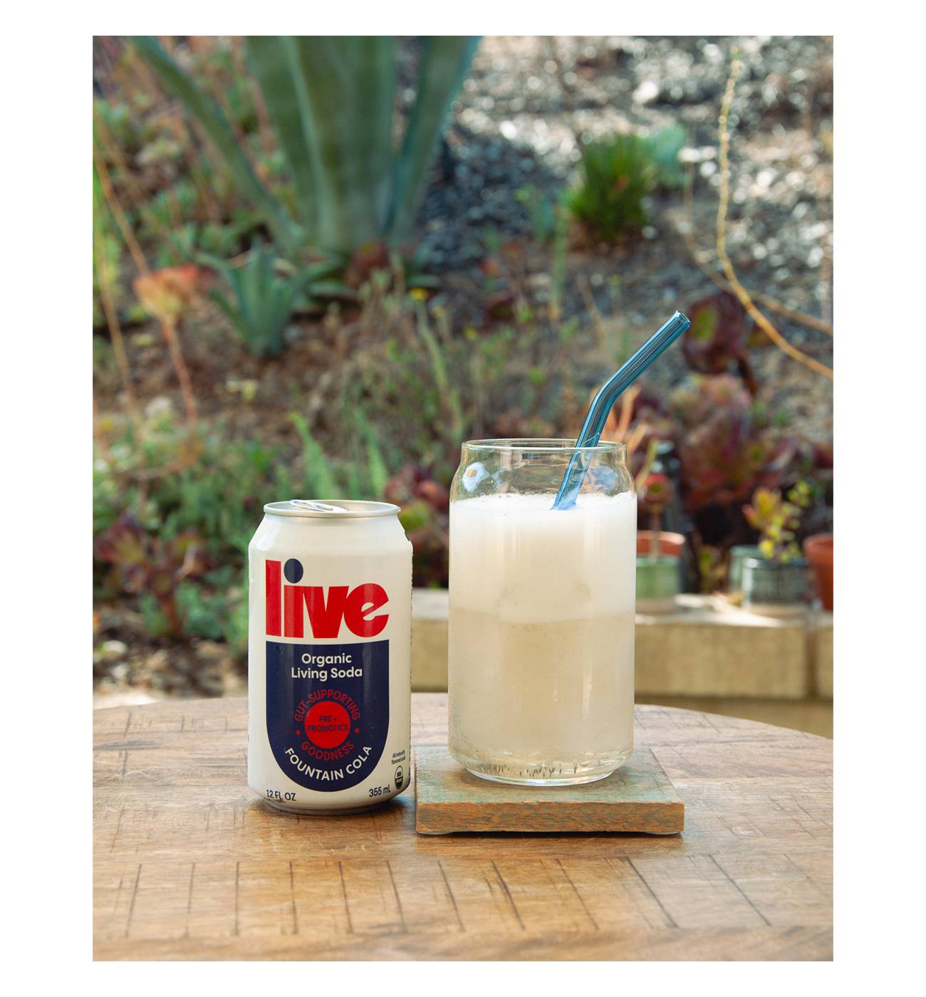 LIVE Soda Organic Probiotic Cola - Shop Soda at H-E-B